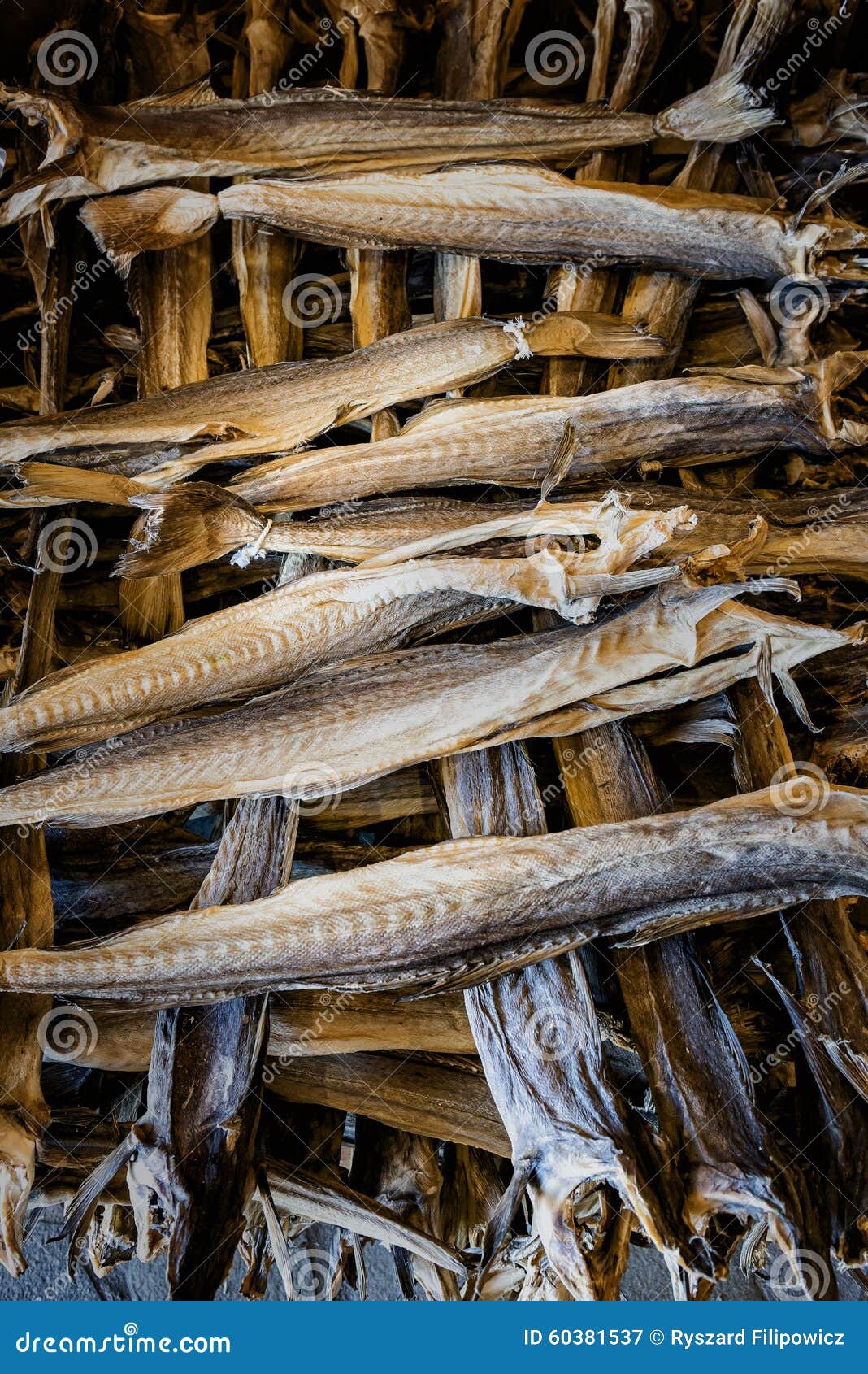 Stockfish - dried cod. stock image. Image of wooden, culture - 60381537