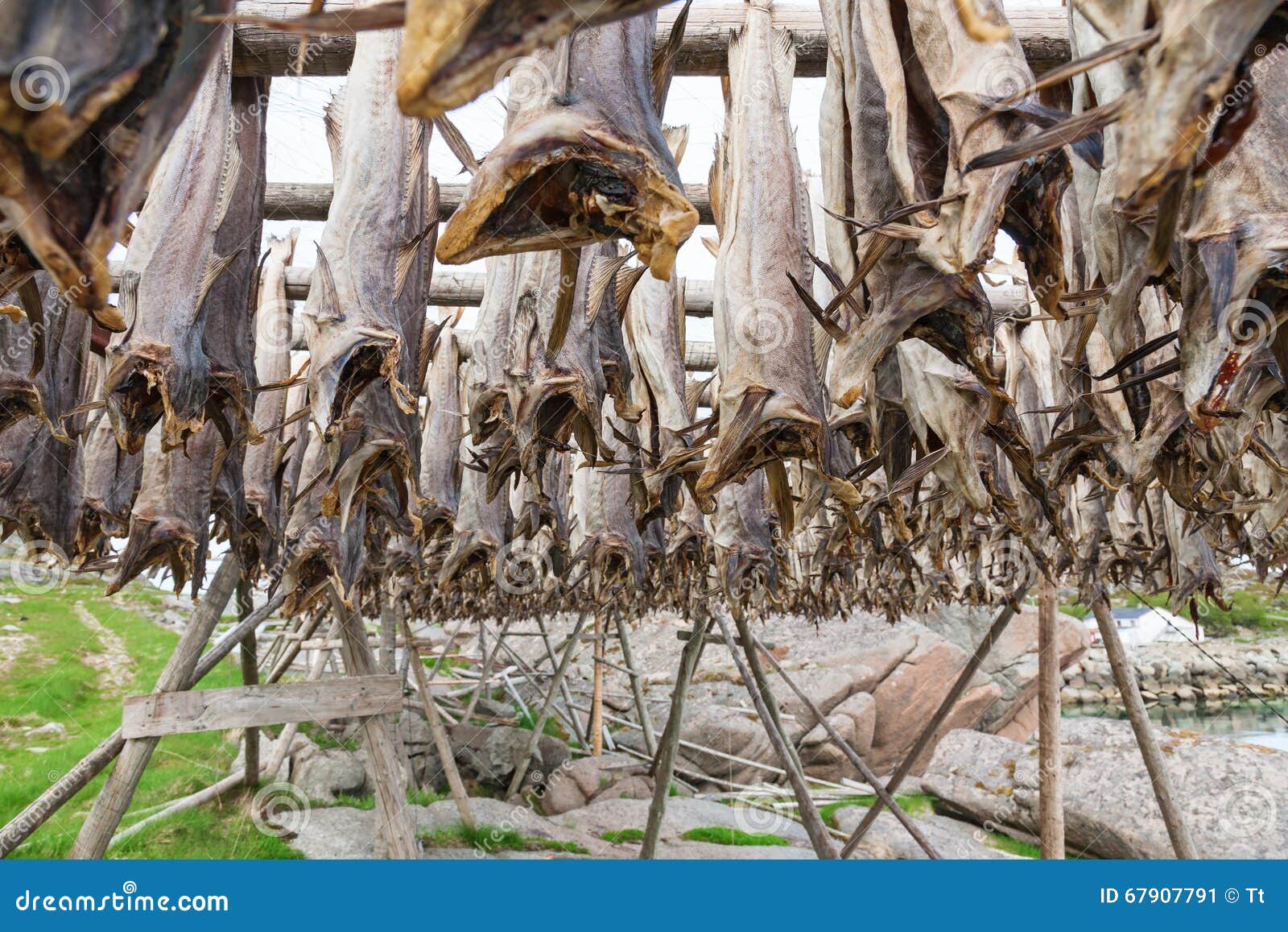 Stockfish stock image. Image of food, culture, closeup - 67907791