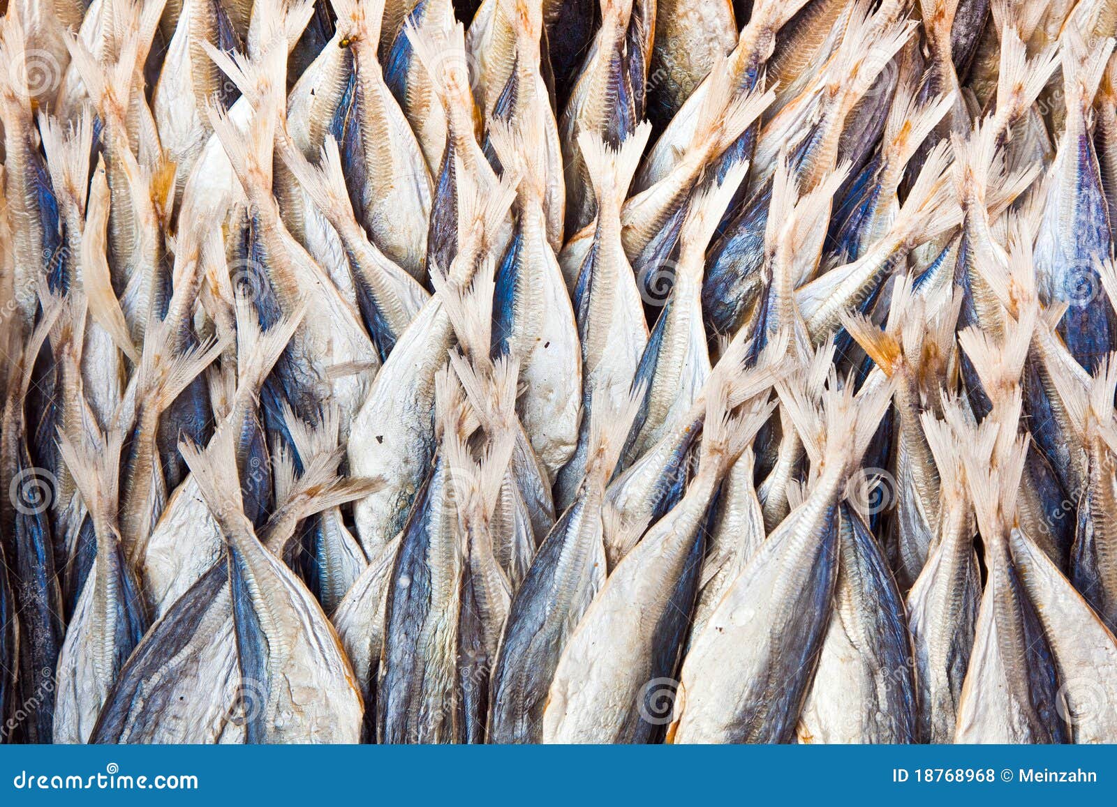 Stockfish at the market stock photo. Image of fishing - 18768968