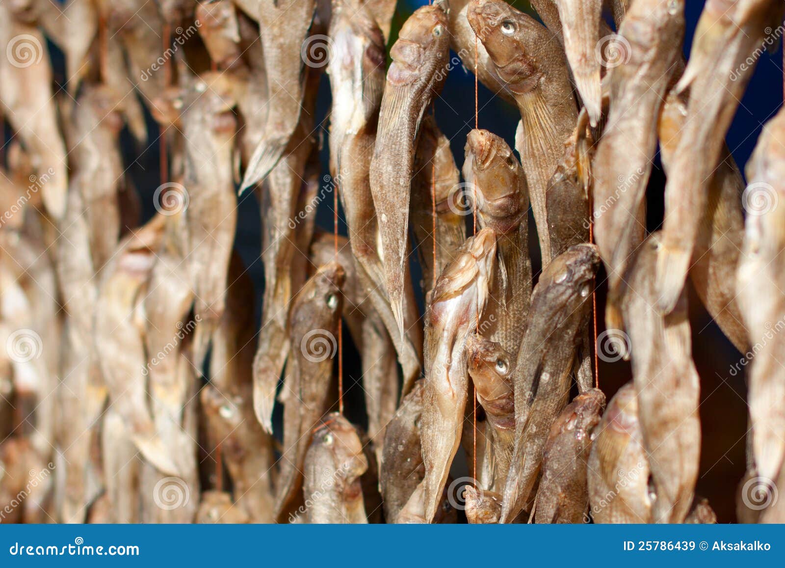 Stockfish on market stock image. Image of scenic, culture - 25786439