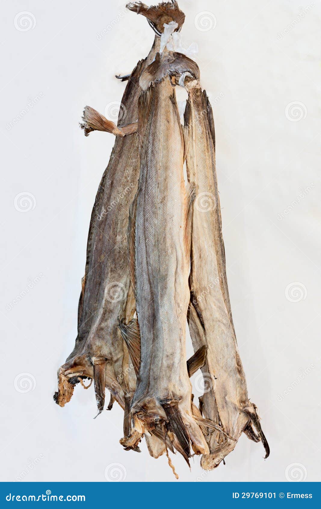 Stockfish stock image. Image of scandinavian, traditional - 29769101
