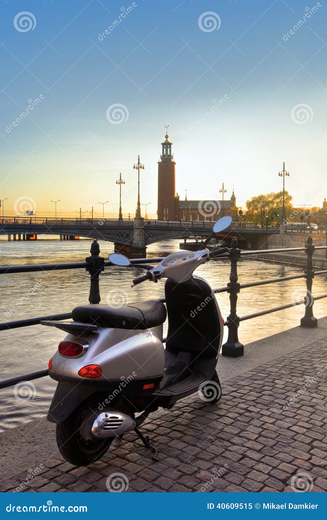 Stockholm City Hall stock image. Image of foreground - 40609515