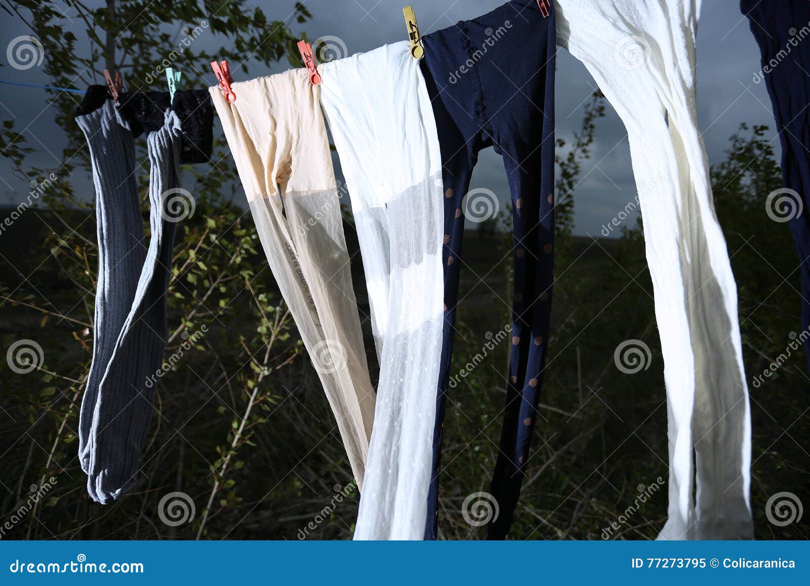 Stockings on the wire stock image. Image of tights, wire - 77273795
