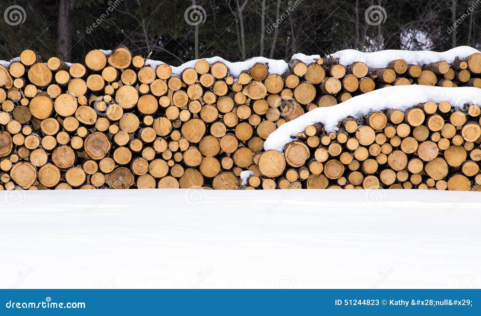 Stockpile of cut logs stock image. Image of winter, stacks - 51244823