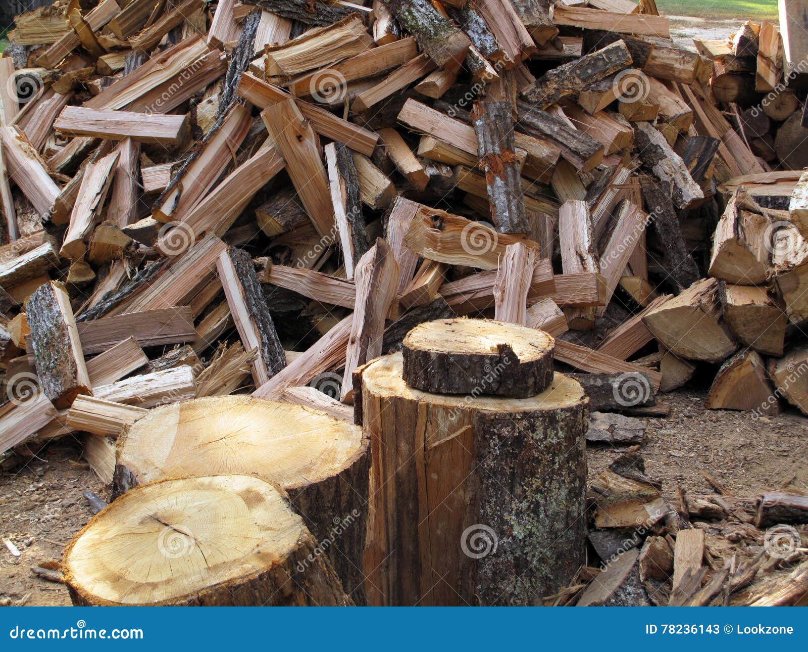 A Stockpile of Fresh Cut Firewood Stock Image - Image of bonfire ...