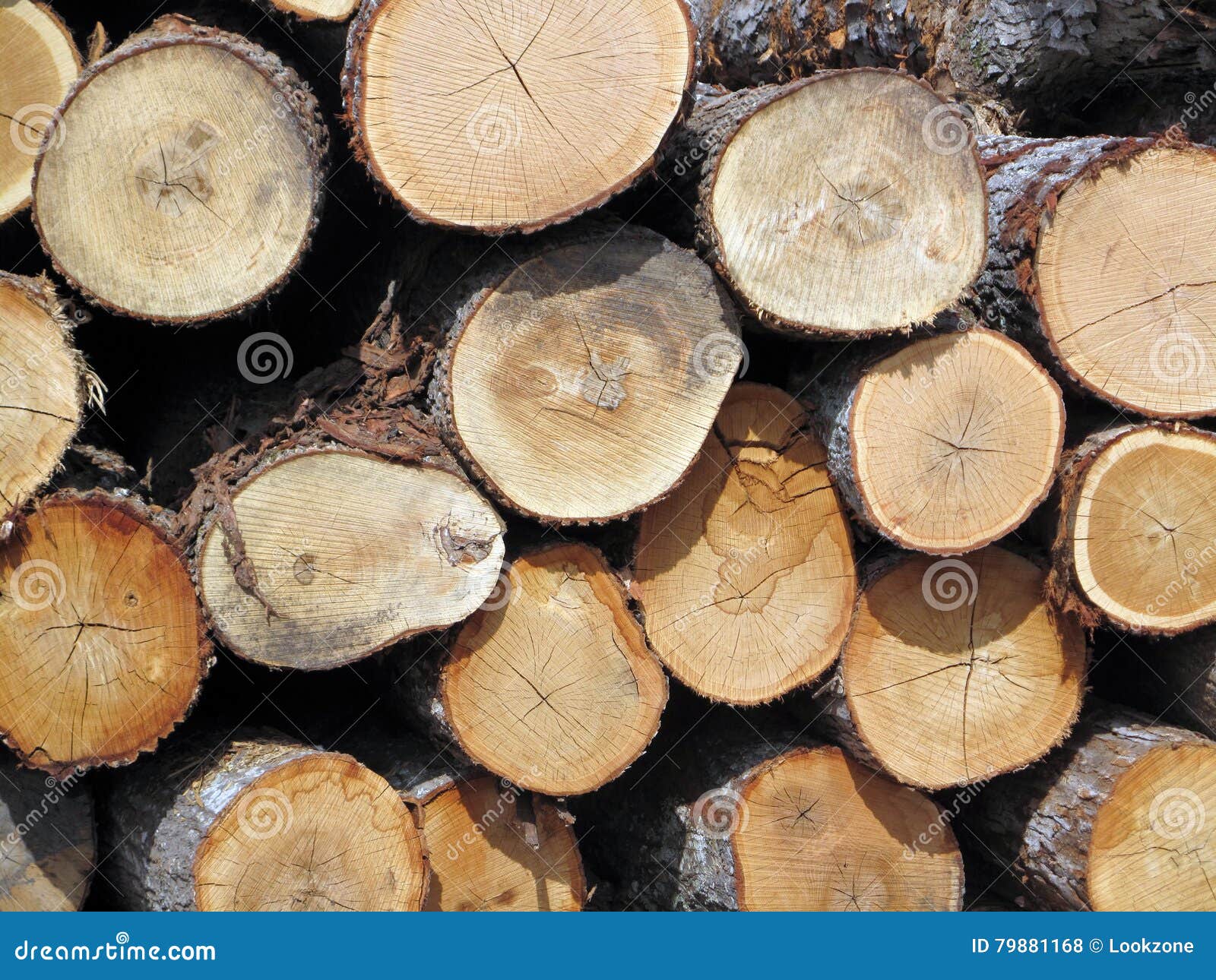 A Stockpile of Fresh Cut Logs Stock Photo - Image of cedar, heat: 79881168