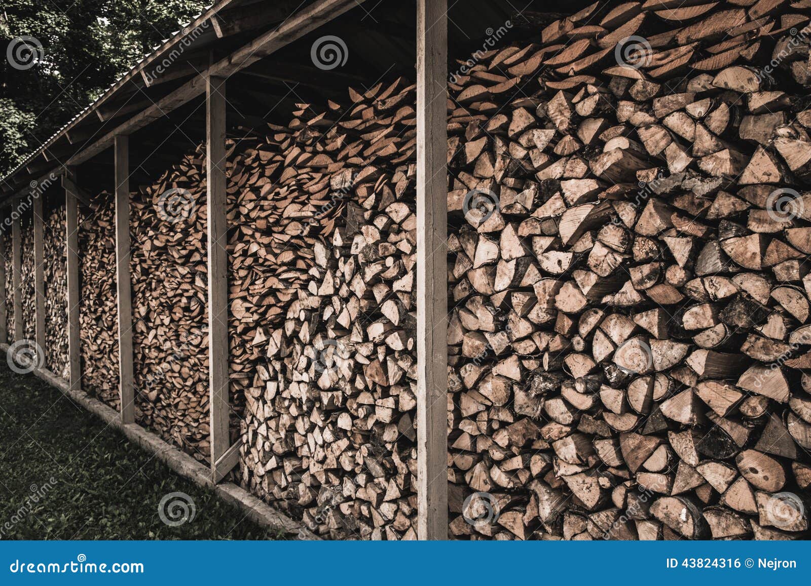 Stockpile of logs stock photo. Image of lumber, stockpile - 43824316