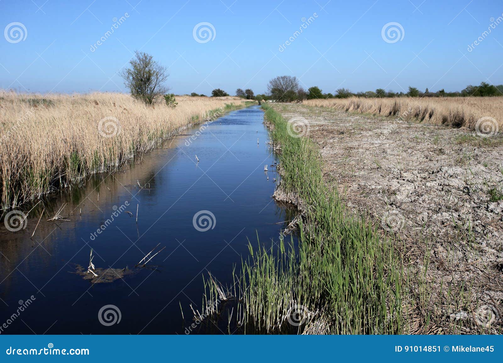 Stodmarsh National Nature Reserve Stock Image - Image of canal ...