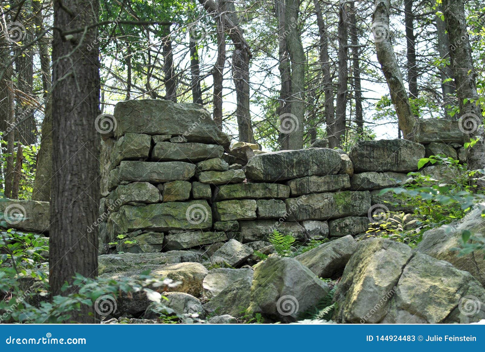 Stoen Wall In Forest Royalty-Free Stock Photo | CartoonDealer.com ...
