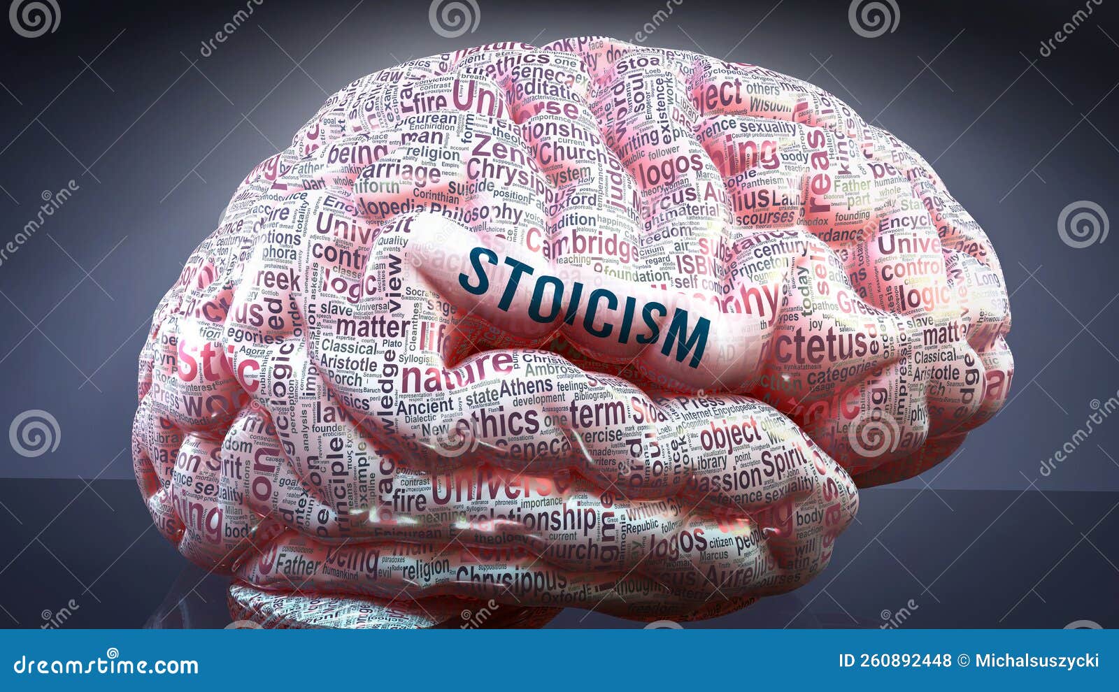 Stoicism and a human brain stock illustration. Illustration of brain ...
