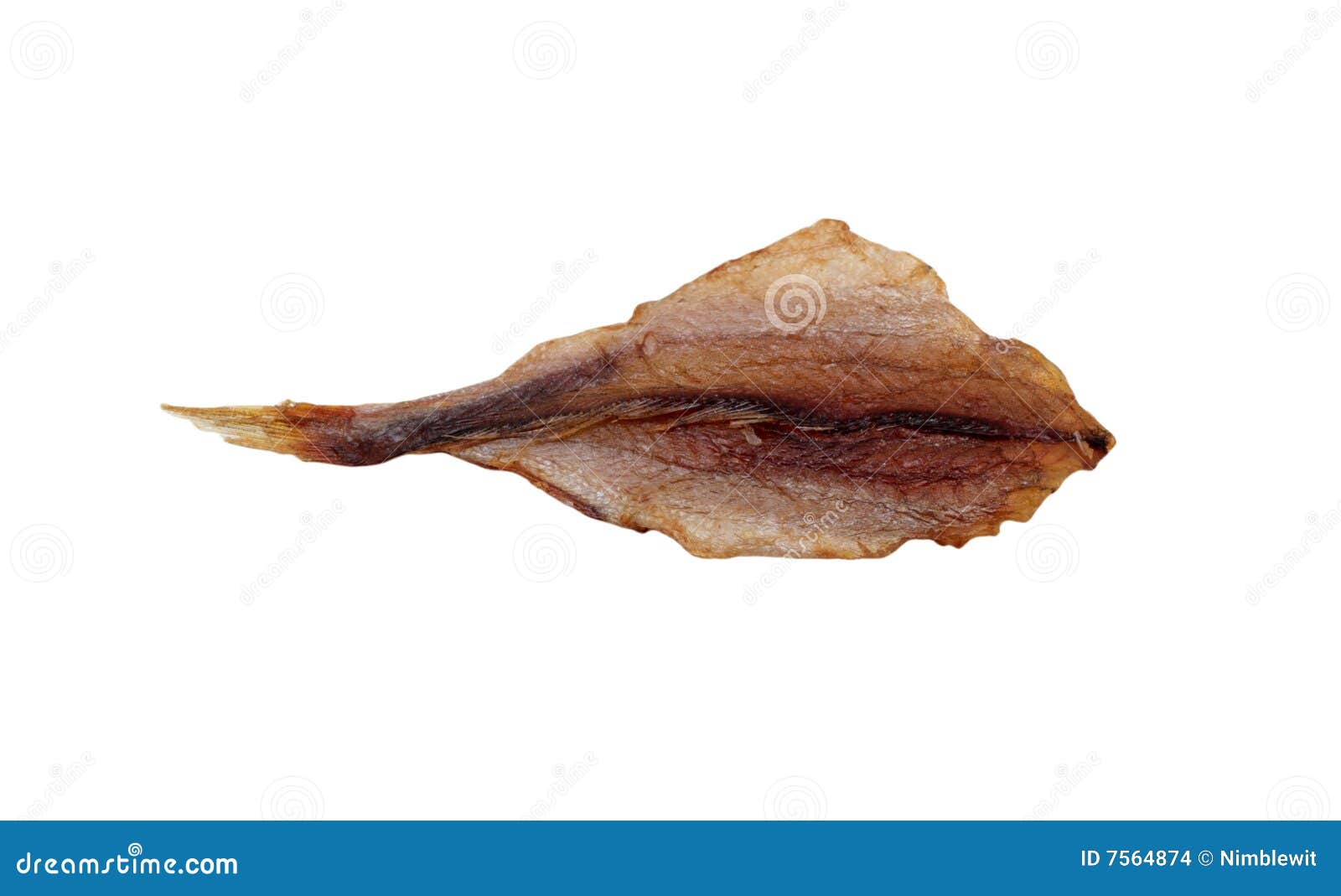 Stokvis stock foto. Image of vangst, koudbloedig, lichaam - 7564874