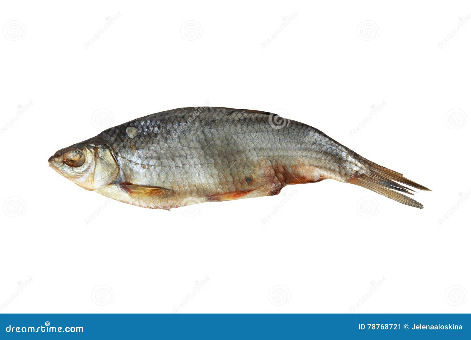 Stokvis stock afbeelding. Image of voeding, zout, droog - 78768721