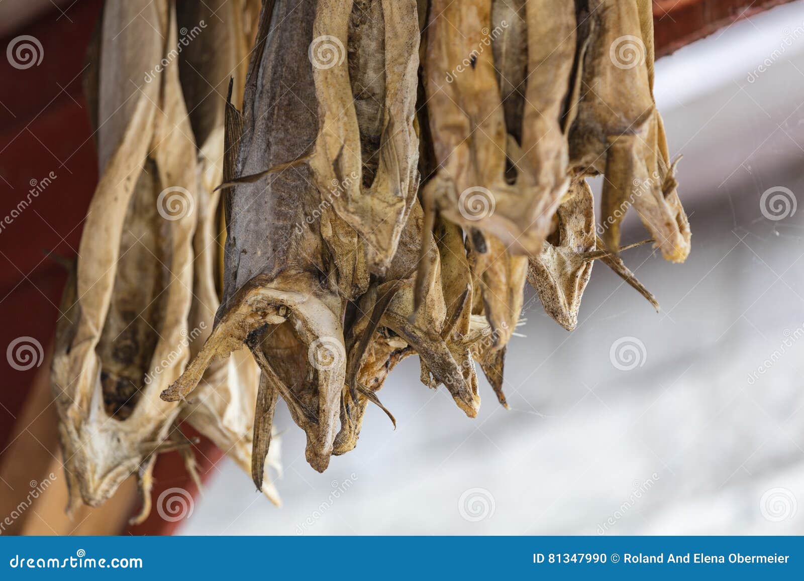 Stokvis Het Hangen Om Te Drogen Stock Foto - Image of kabeljauw ...