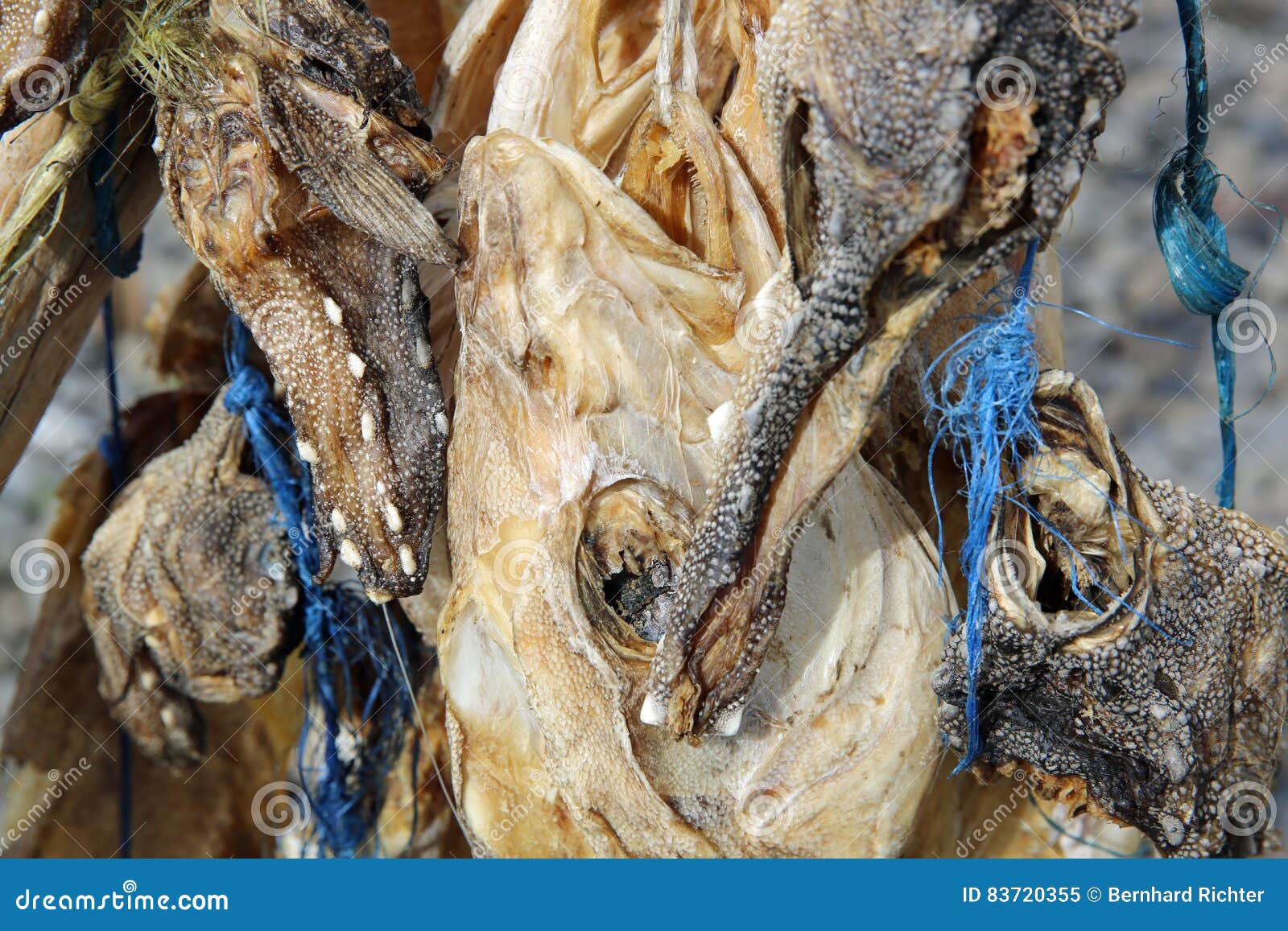 Stokvis in IJsland stock afbeelding. Image of dier, voedsel - 83720355