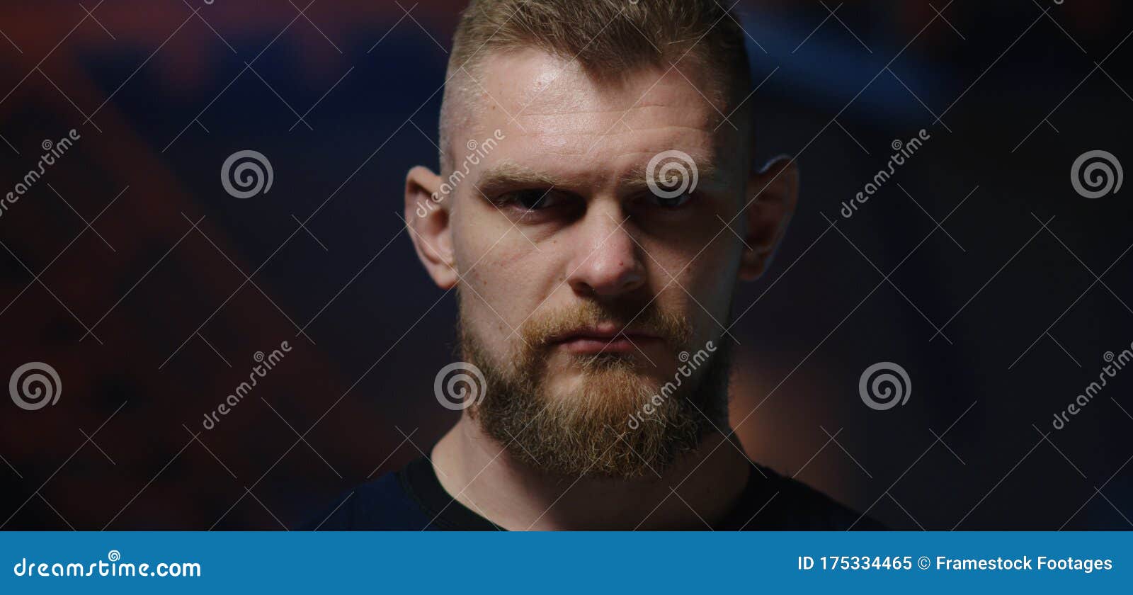 Stolid Young Man Looking at Camera Stock Image - Image of caucasian ...