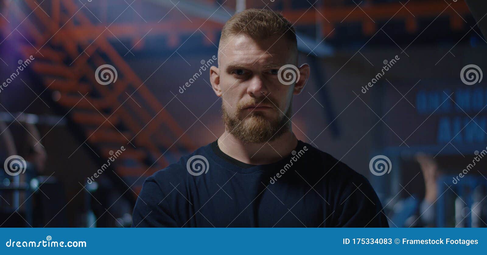 Stolid Young Man Looking at Camera Stock Image - Image of beard, stolid ...