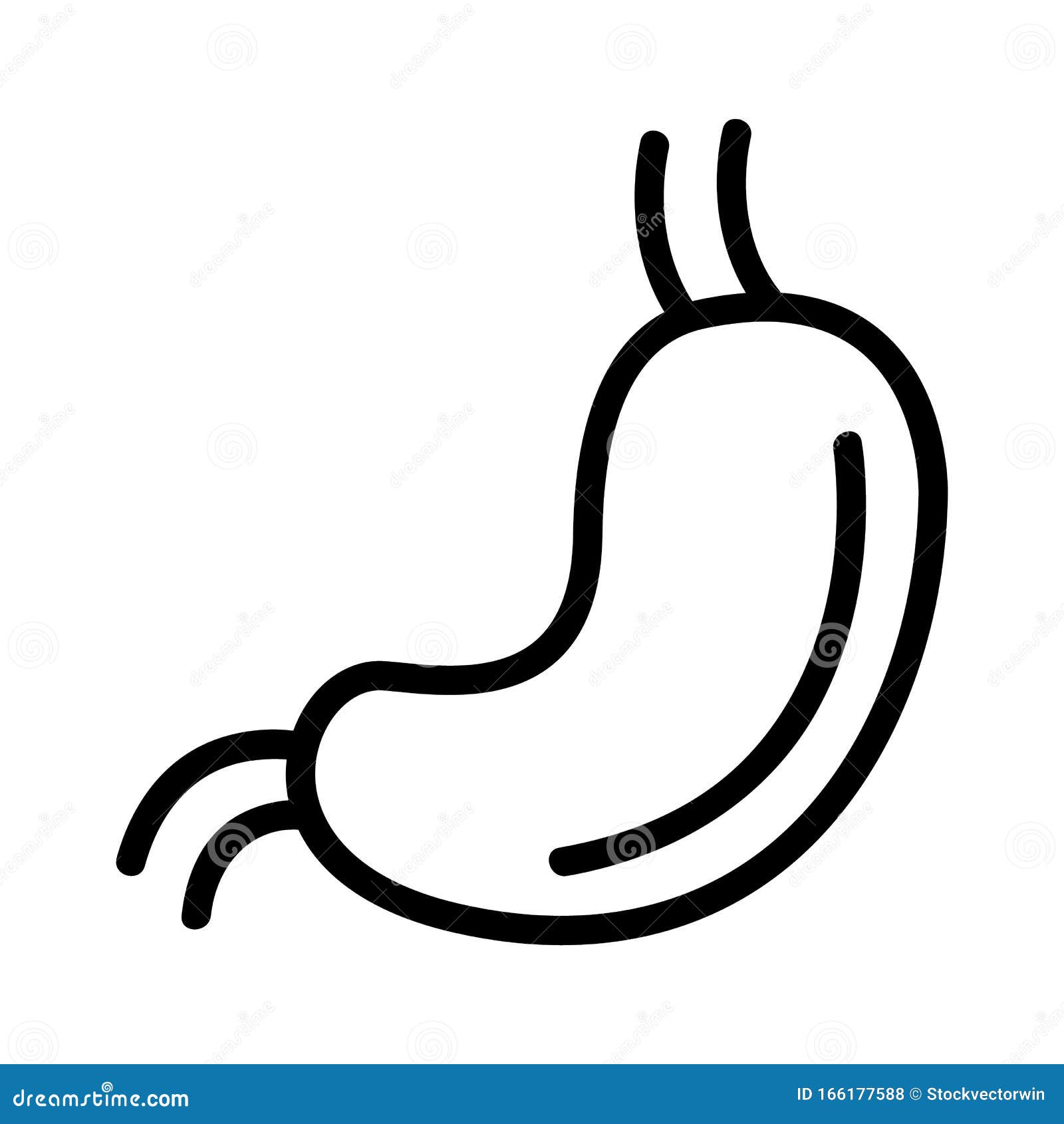Stomach Body Icon Vector. Isolated Contour Symbol Illustration Stock ... Stomach Body Icon Vector. Isolated Contour Symbol Illustration Stock ...
