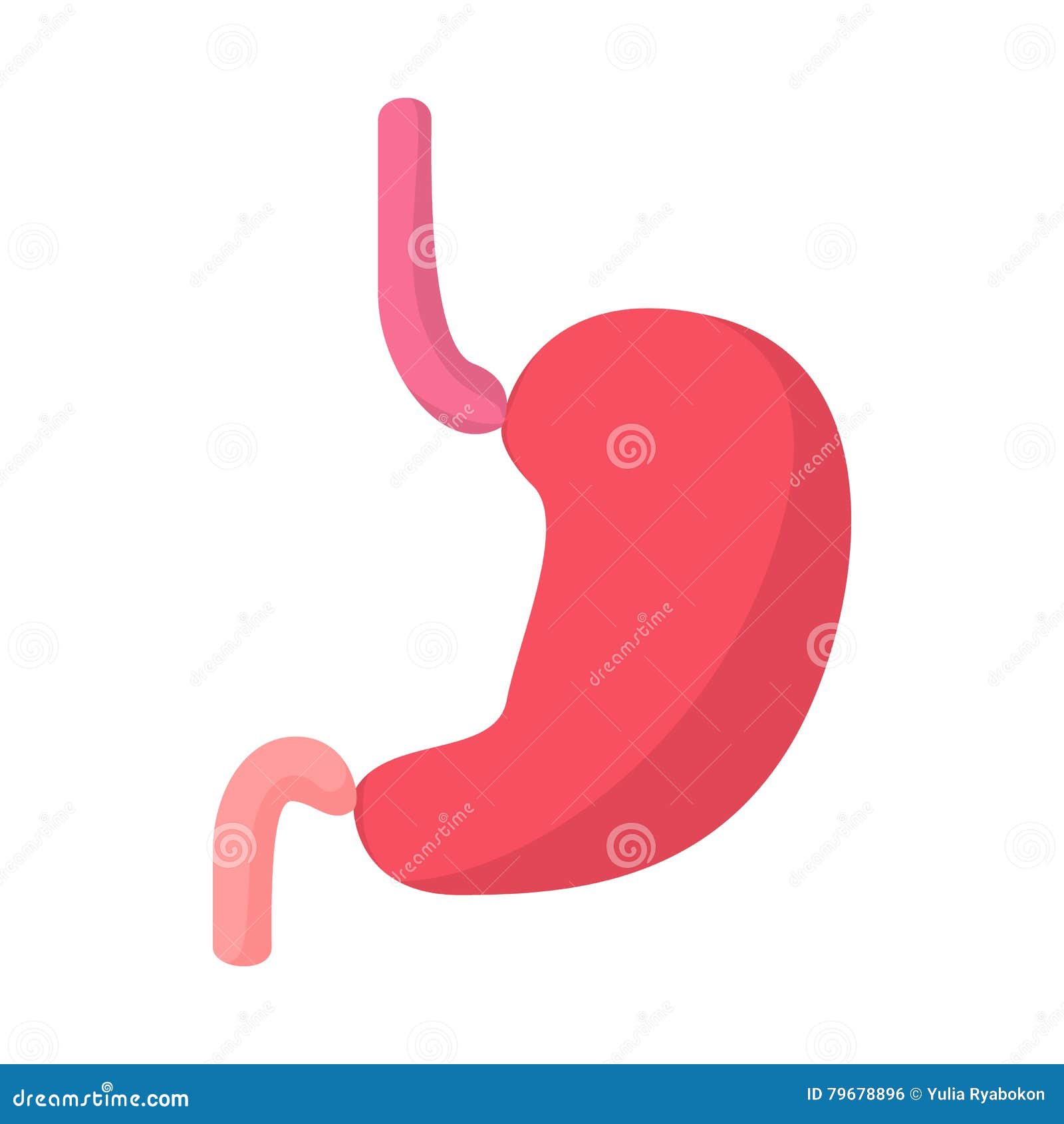 Stomach Cartoon Icon, Comics Style | CartoonDealer.com #78930255