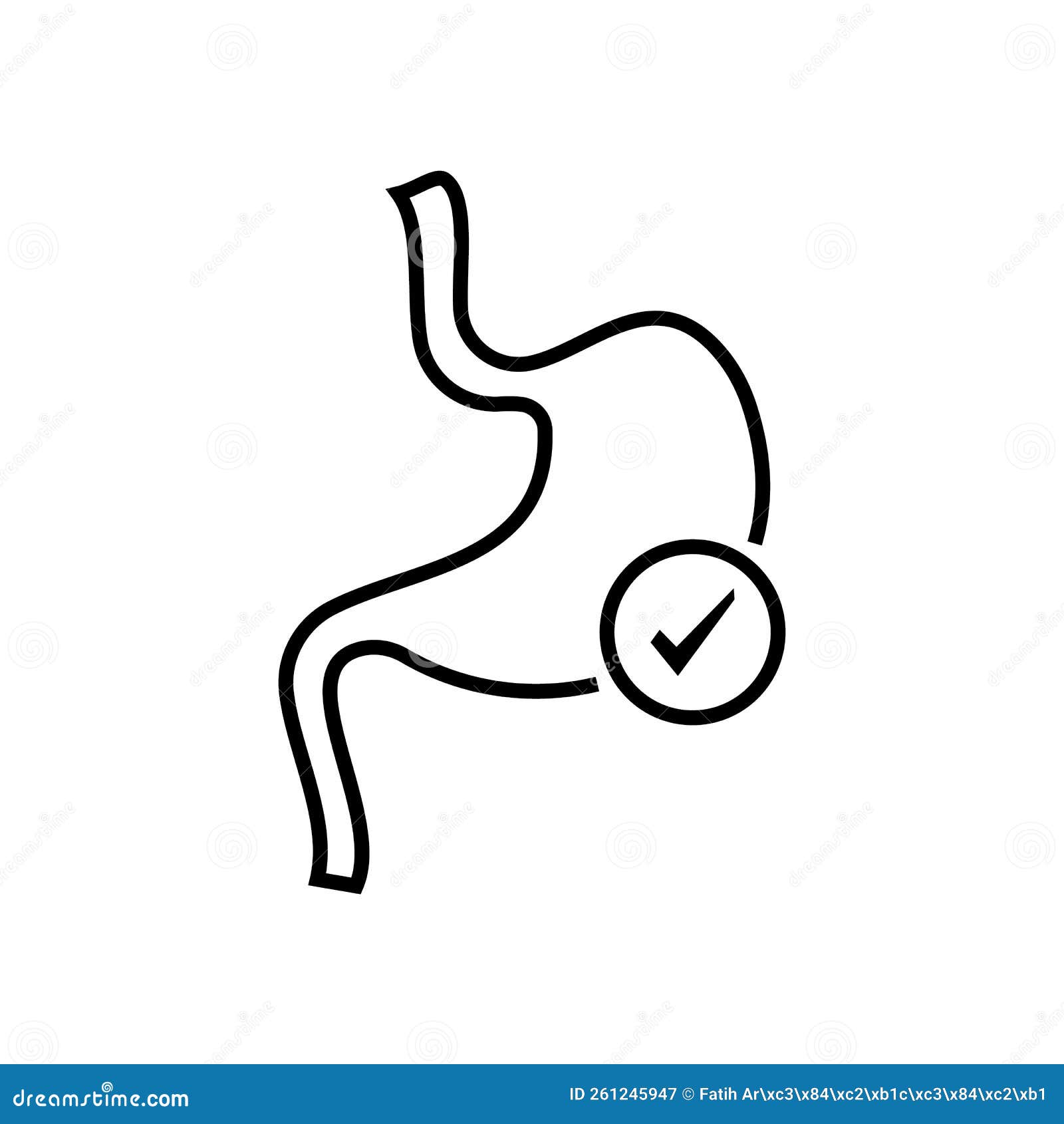 Stomach and Check Mark. Symbol of Good Digestion. Isolated Vector ...
