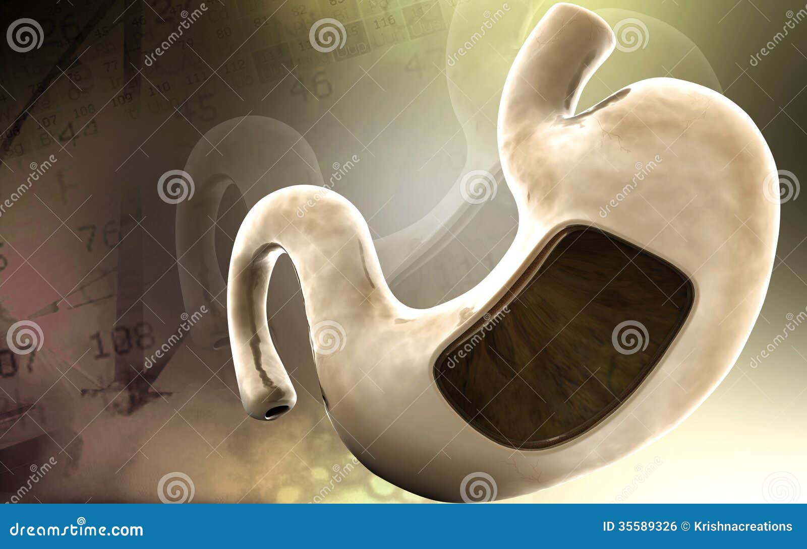 Stomach stock illustration. Illustration of acid, abstract - 35589326