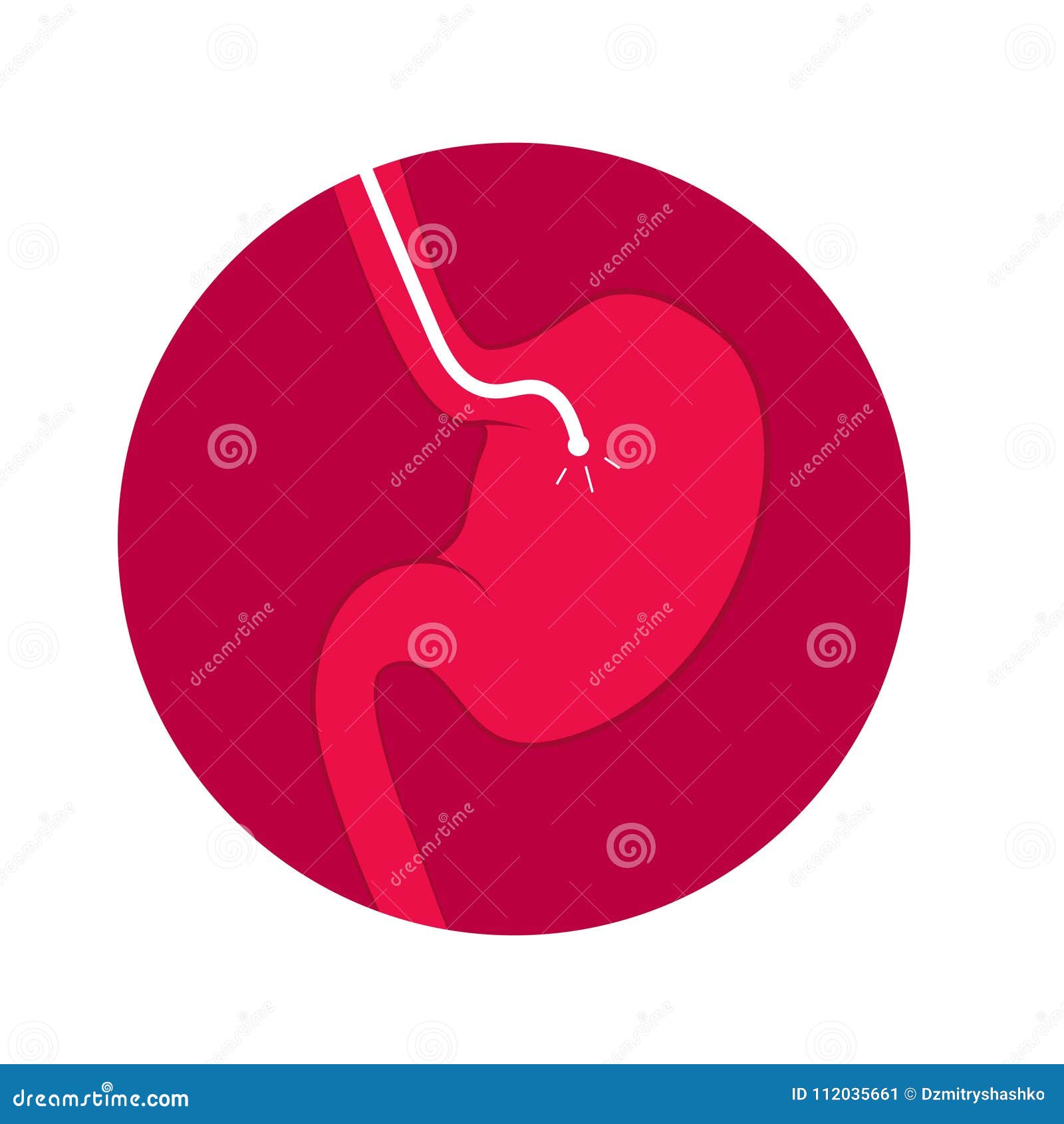 Endoscopy Icon, Stomach And Endoscope Cartoon Vector | CartoonDealer ...