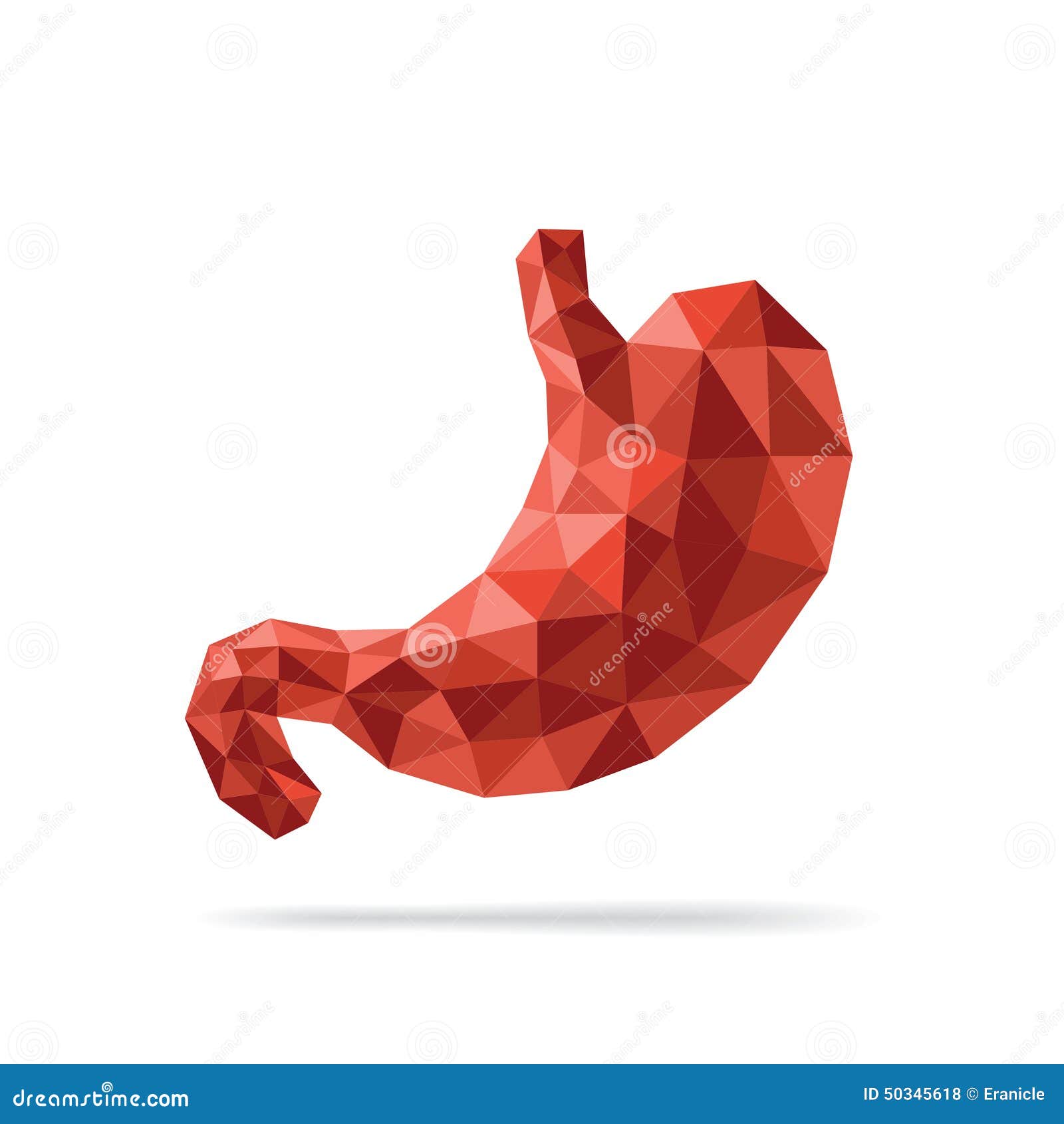 Stomach faceted stock vector. Illustration of shape, pink - 50345618