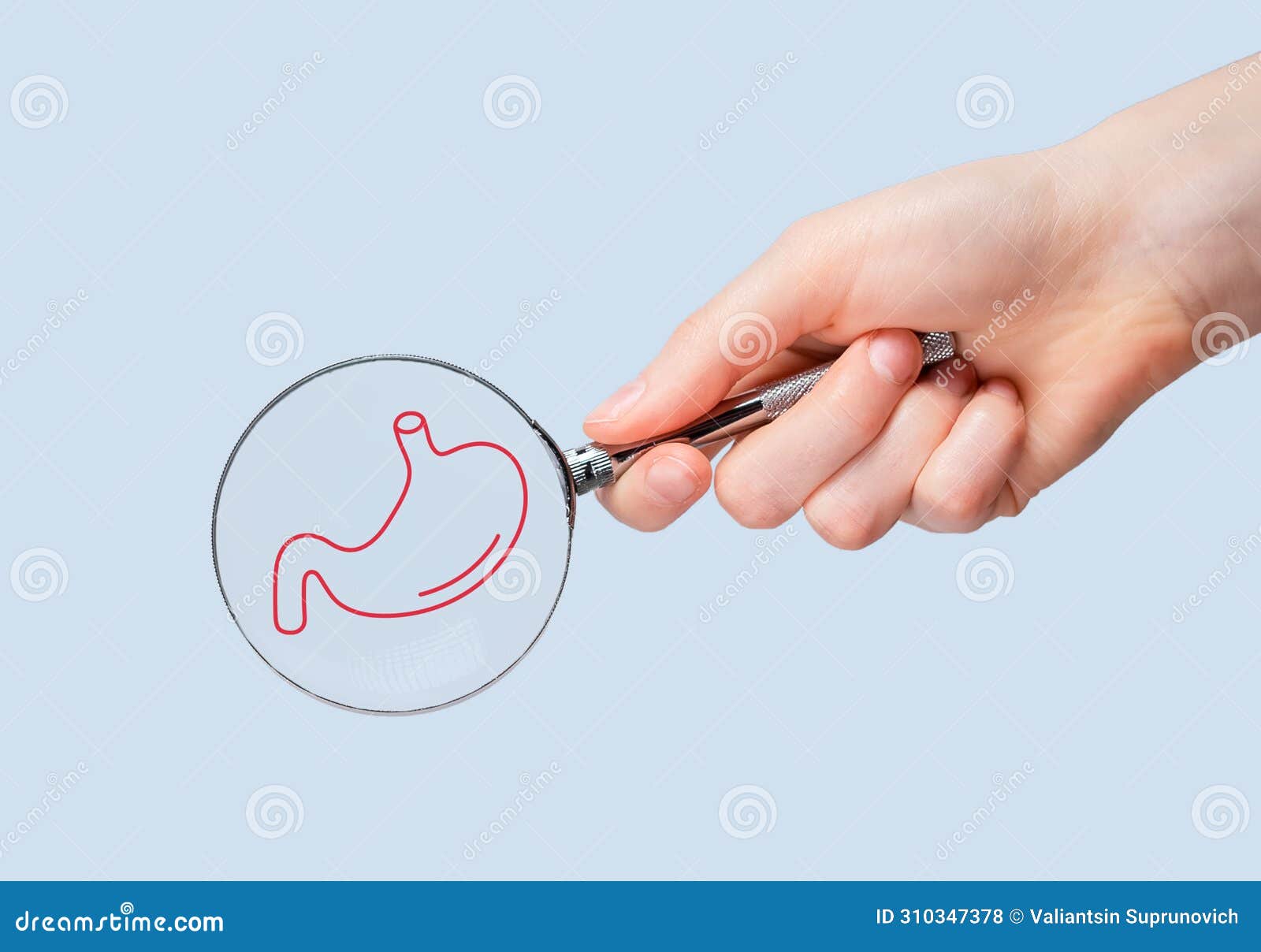 Stomach Health Checkup, Study through Magnifying Glass Stock Photo ...