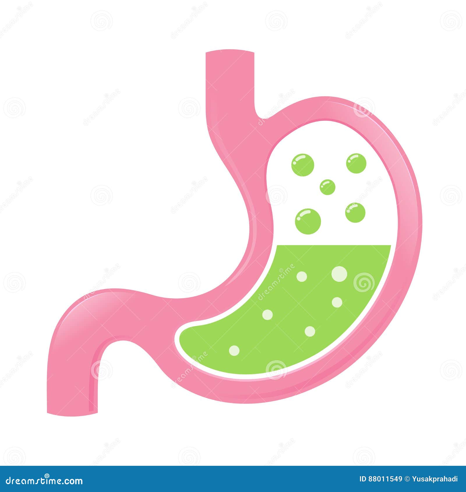 Stomach Icon Vector Illustration. | CartoonDealer.com #83396382