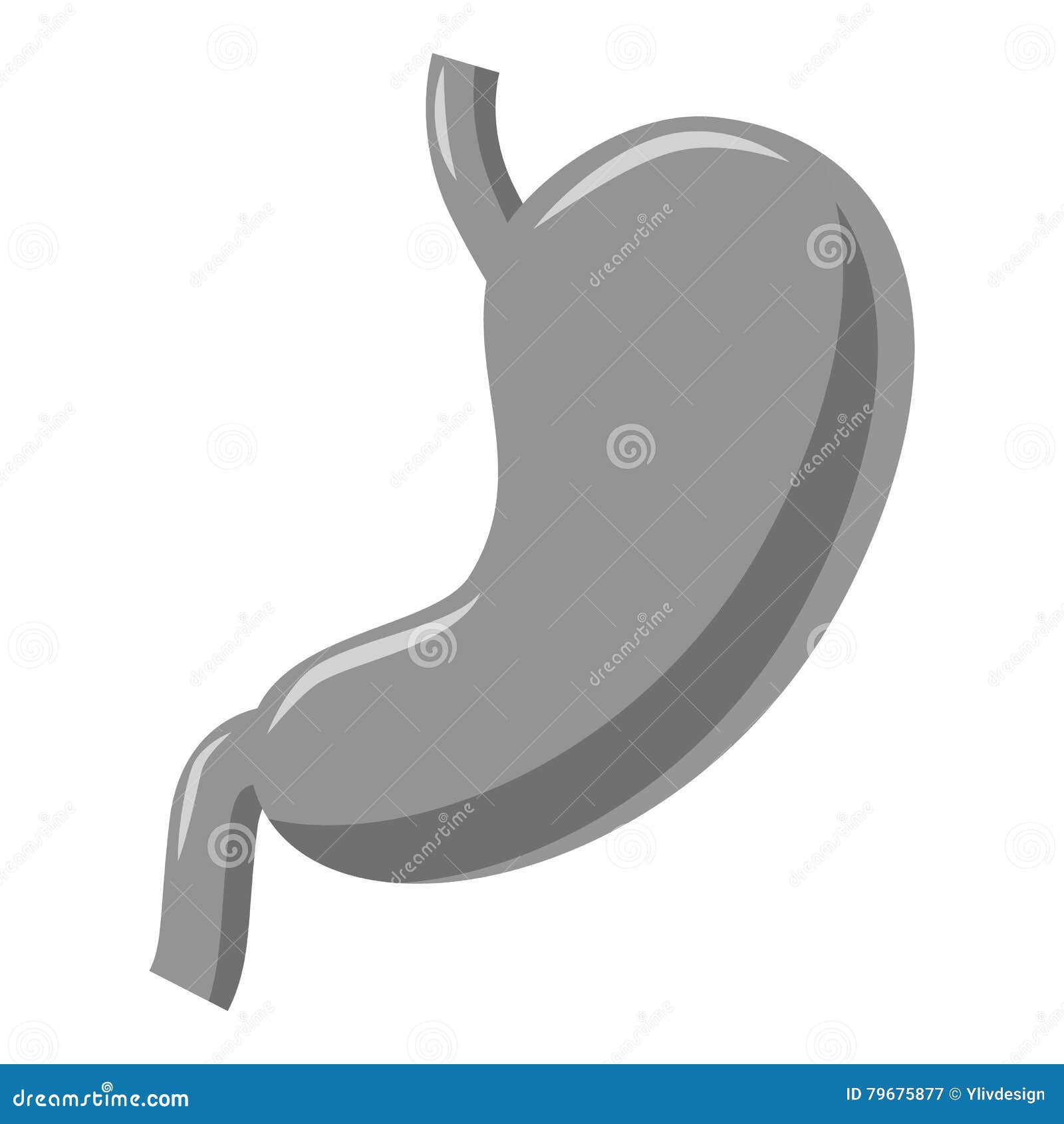 Stomach Icon, Gray Monochrome Style Stock Vector - Illustration of ...