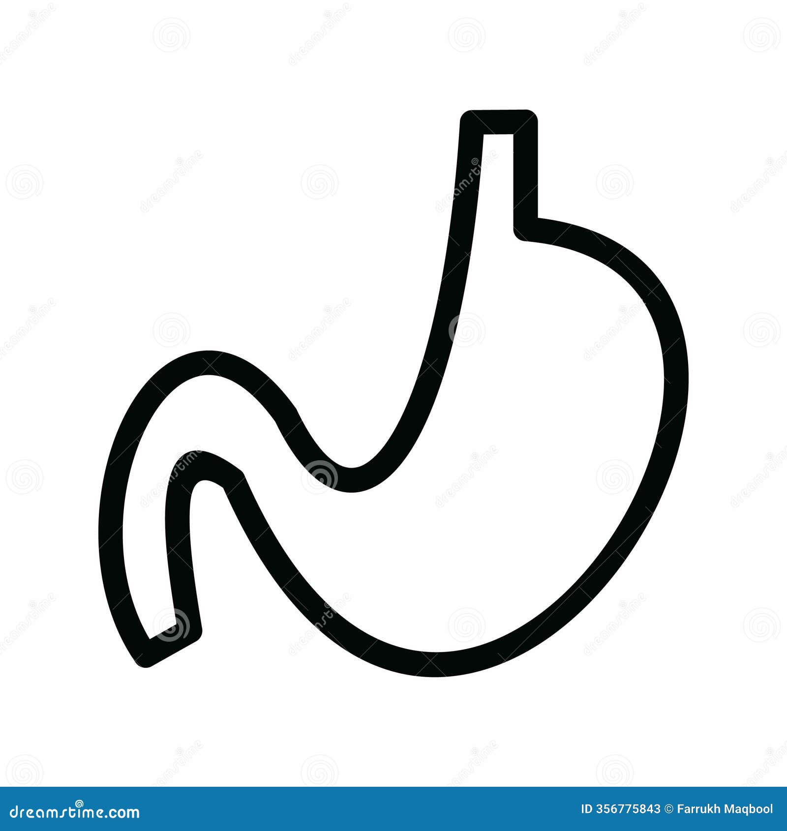 Stomach Icon. Human Internal Organs Symbol. Digestive System Anatomy ...