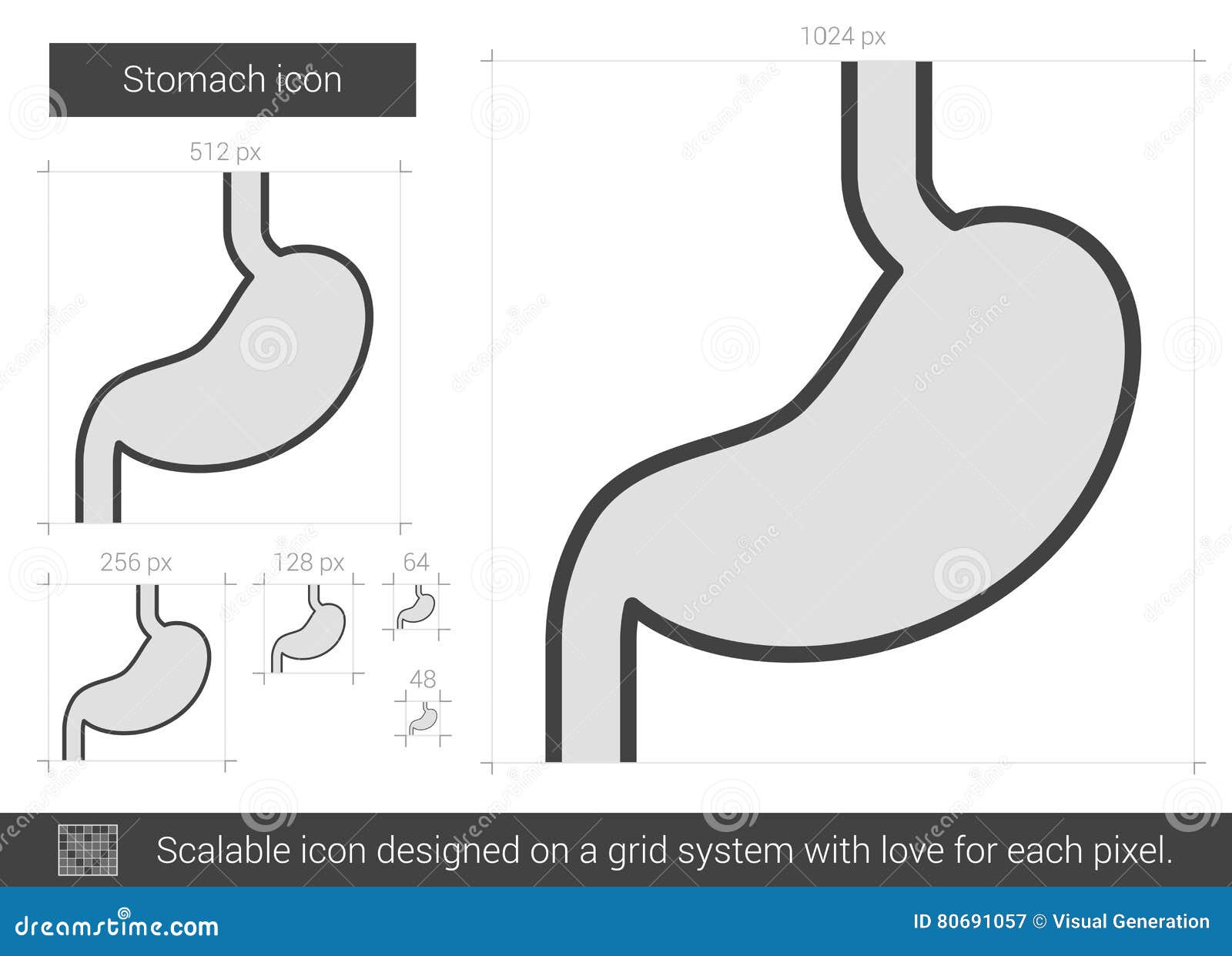 Stomach line icon. stock vector. Illustration of draw - 80691057