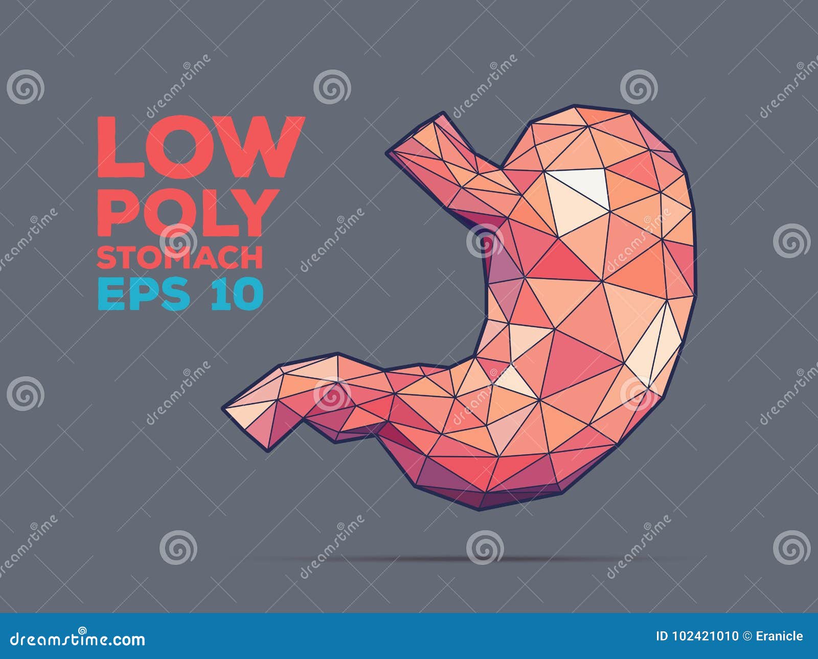 Stomach poly faceted stock vector. Illustration of organ - 102421010