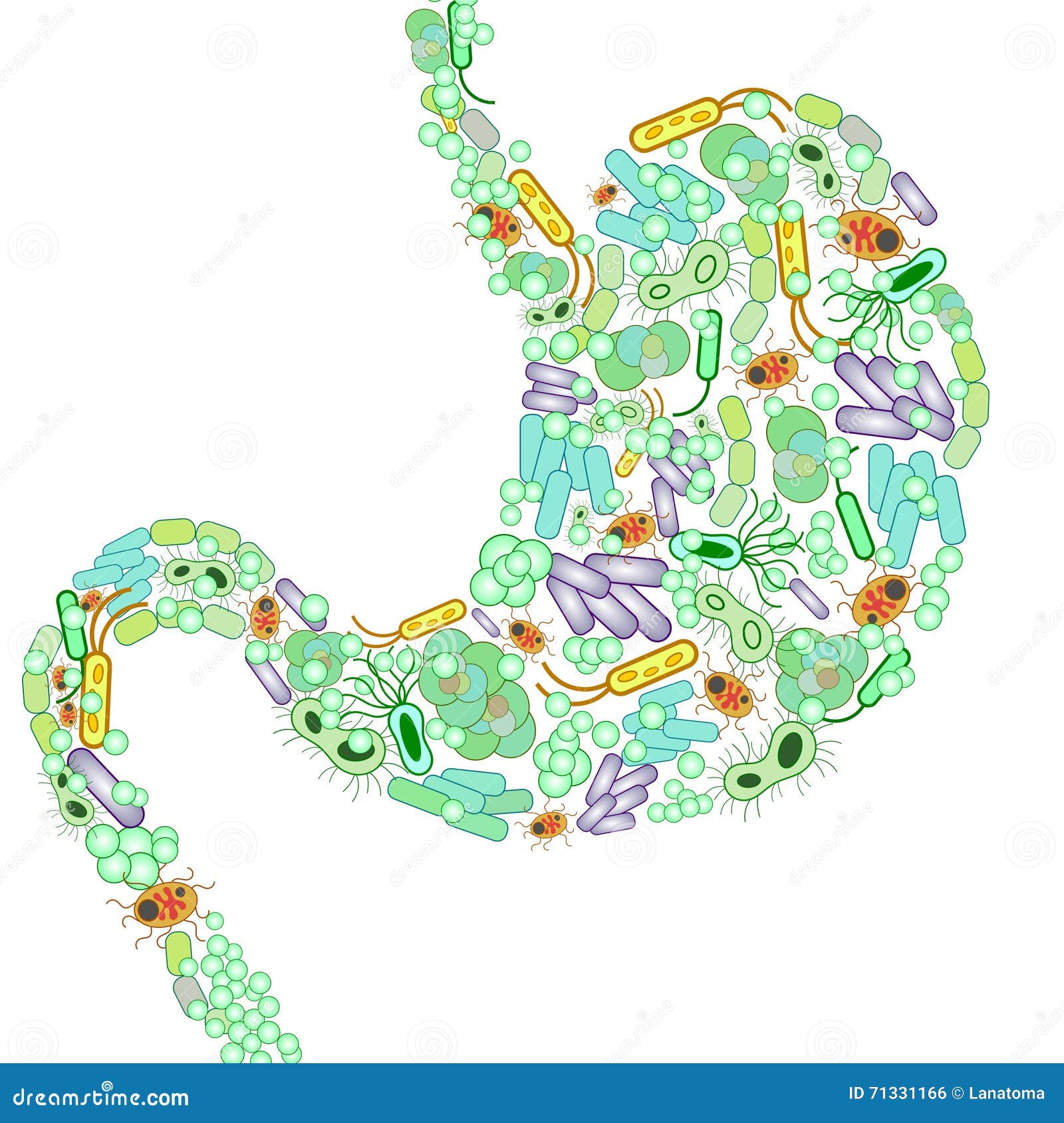 Stomach Shaped Out Of Microorganisms Cartoon Vector | CartoonDealer.com ...