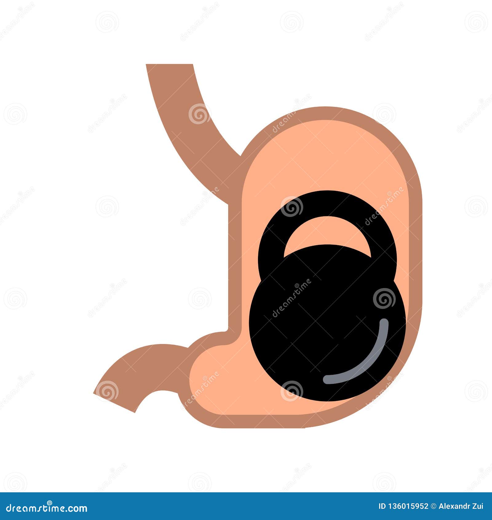 Stomach visual aid stock vector. Illustration of book - 136015952