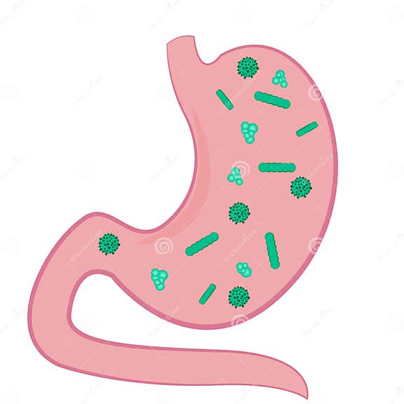 A Stomack full of microbs stock vector. Illustration of bacterial ...