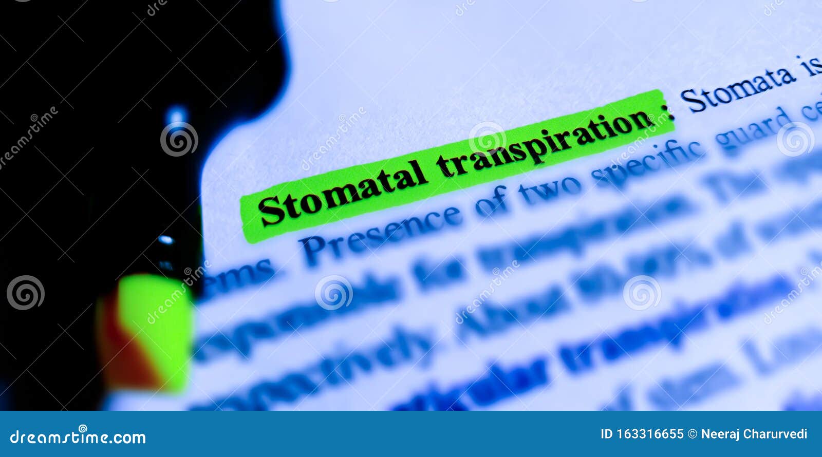 Stomatal Transpiration Text Highlighted With Green Pointer On Paper ...