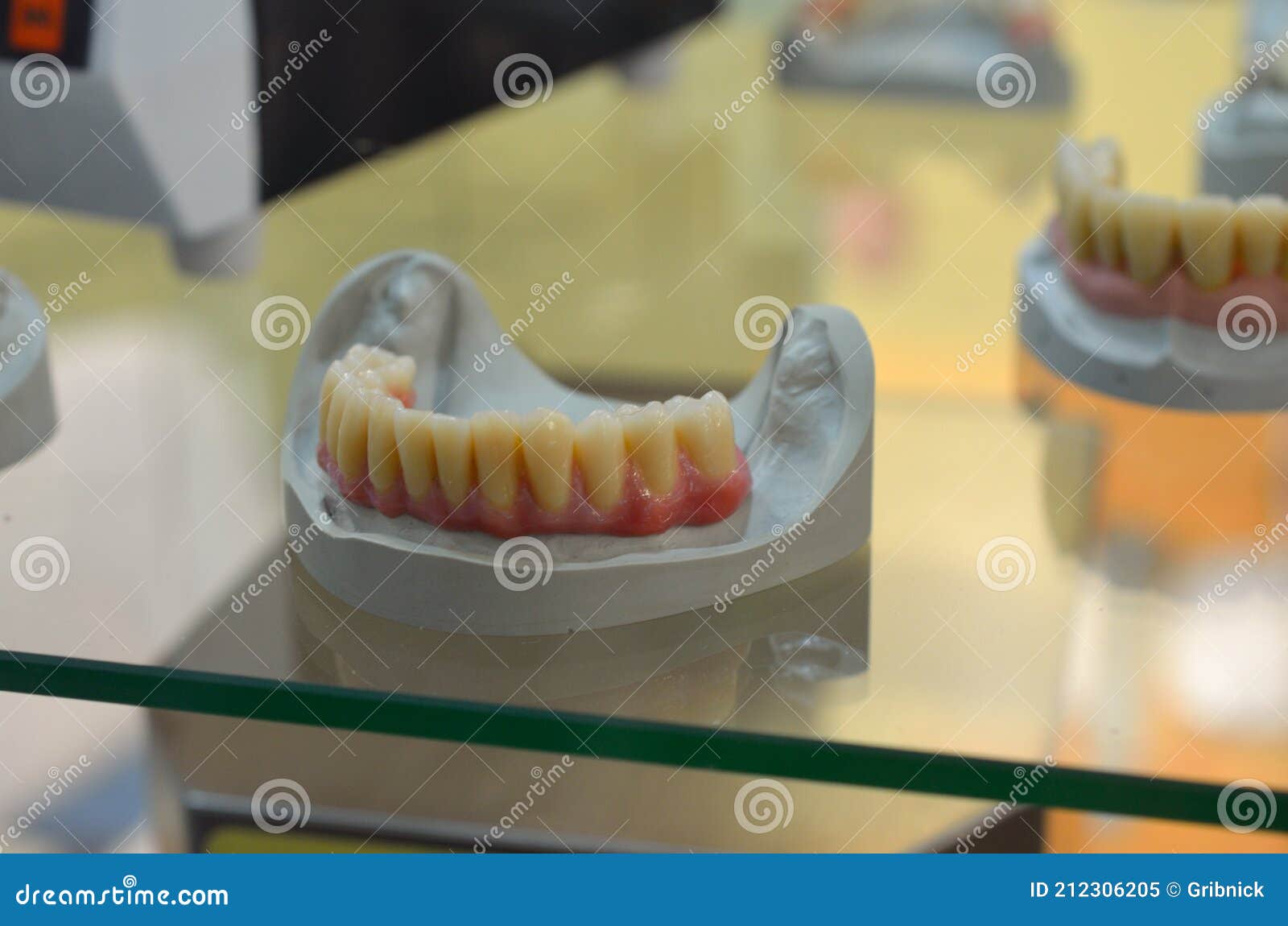 Stomatology Teeth Models Dental Education Model with Denture Stock ...