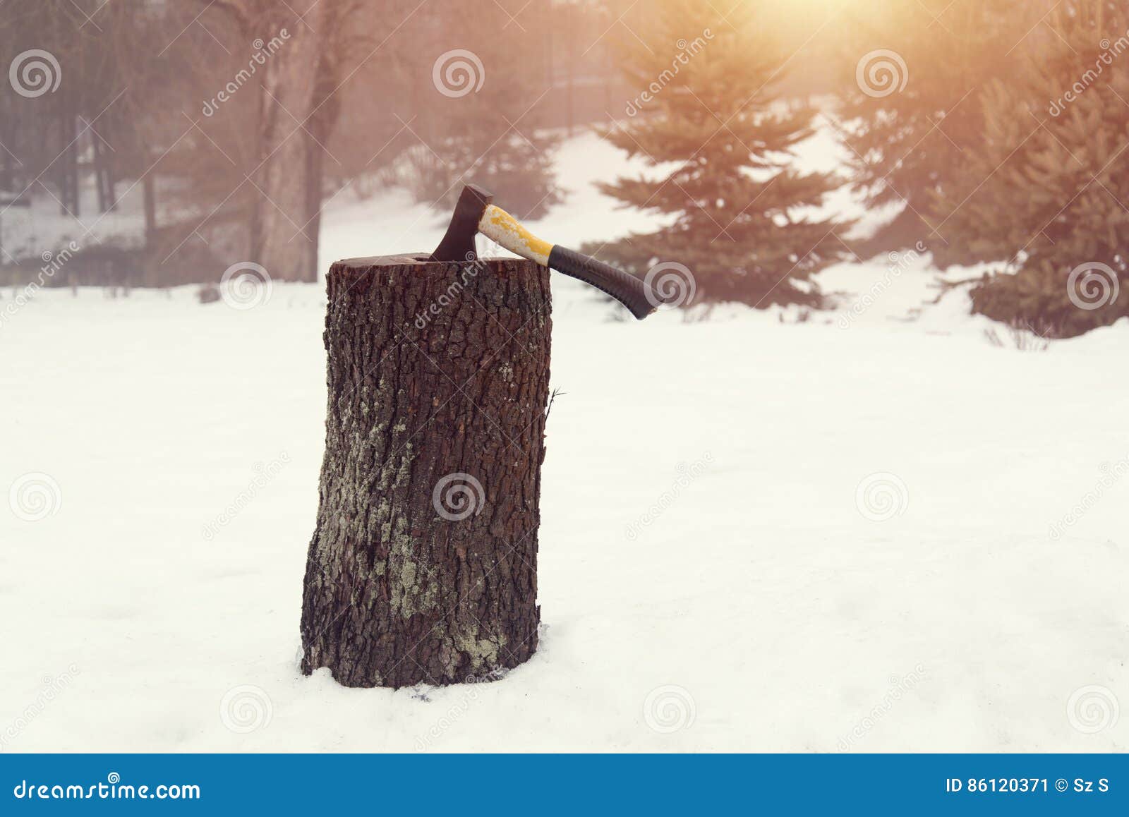 Stomp Van Het Bijl De Houten Brandhout Stock Afbeelding - Image of ...