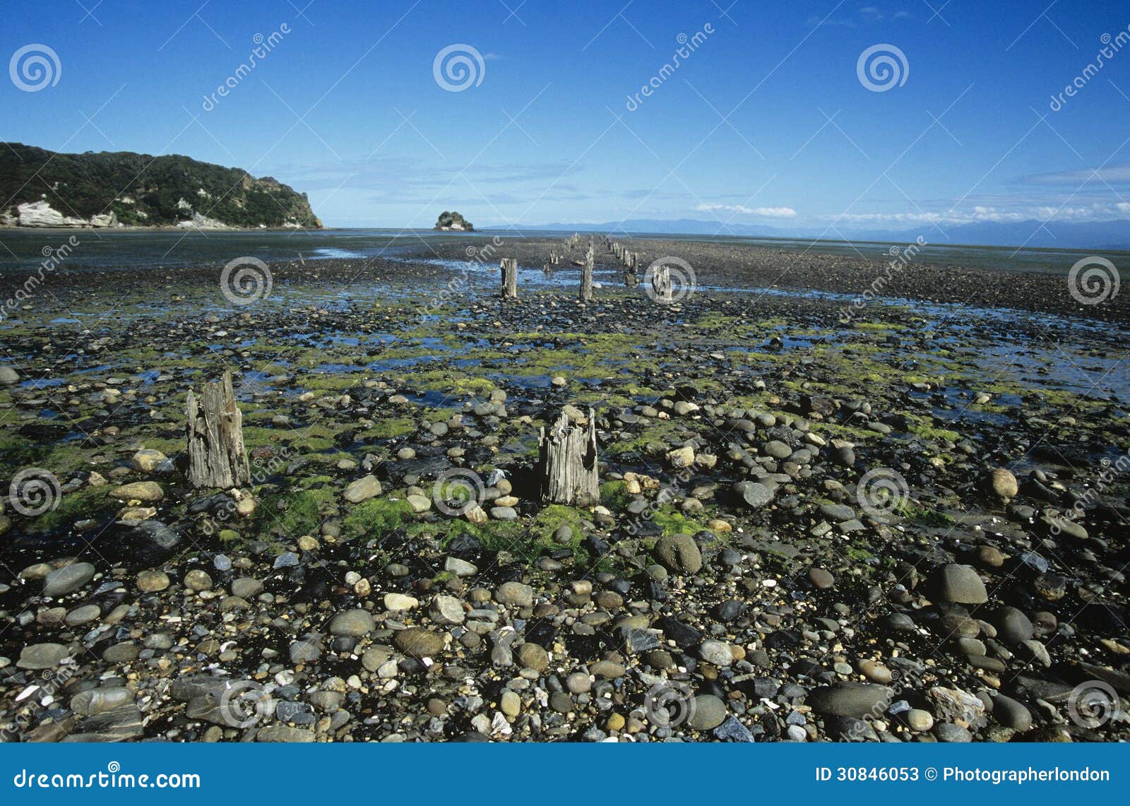 Stompen op steenstrand stock afbeelding. Image of kiezelstenen - 30846053