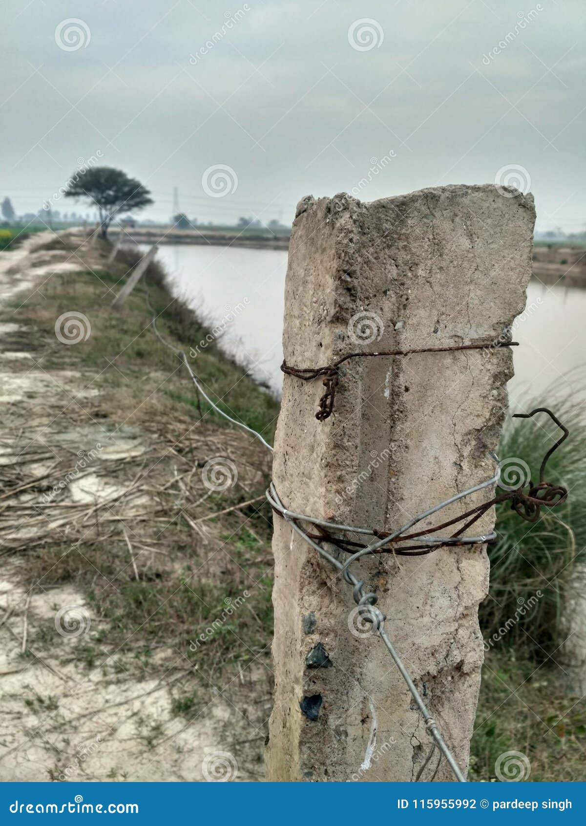 Ston Piller stock photo. Image of water, piller, ston - 115955992