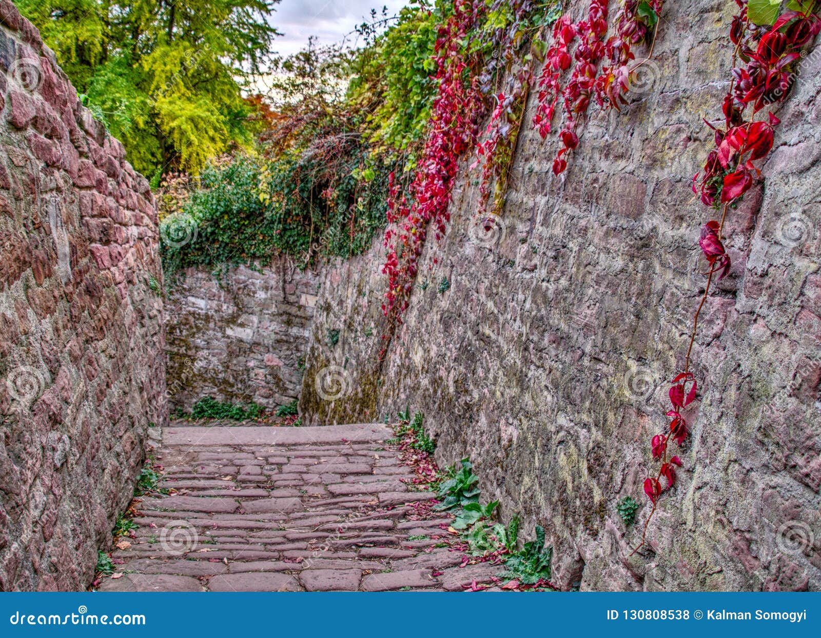 Stone alley between garden stock photo. Image of city - 130808538