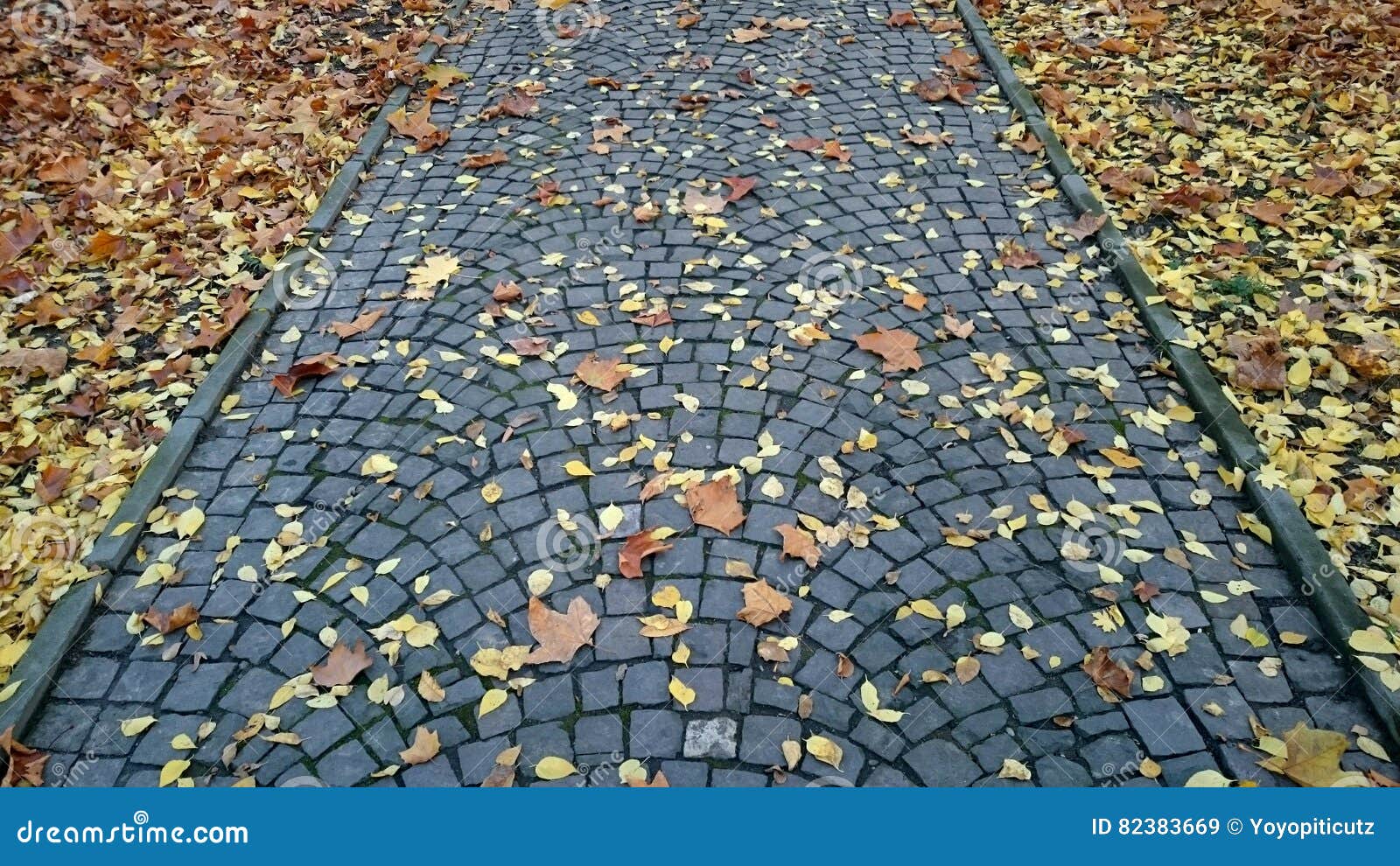 Stone alley stock image. Image of garden, concrete, alley - 82383669