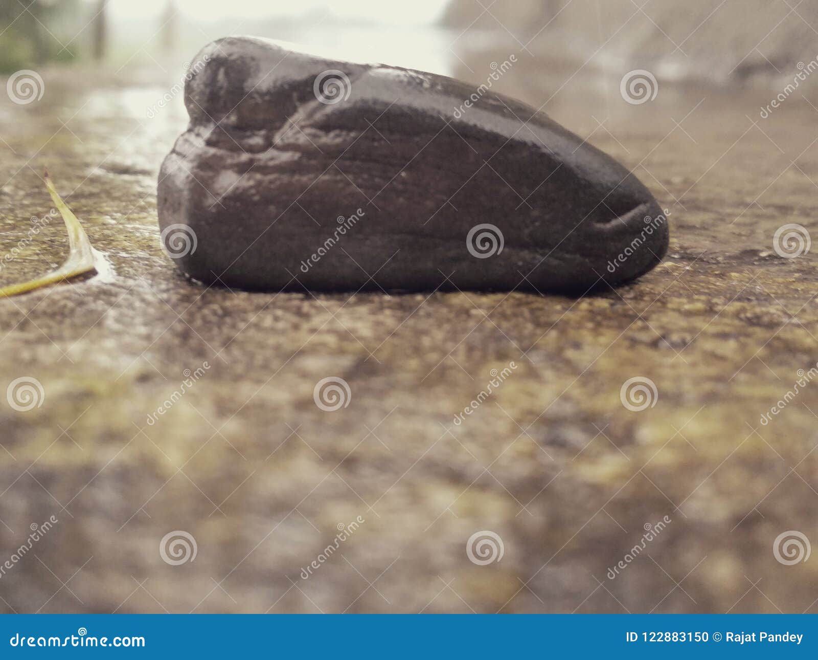 Stone stock photo. Image of alone, rain, monsoon, stone - 122883150