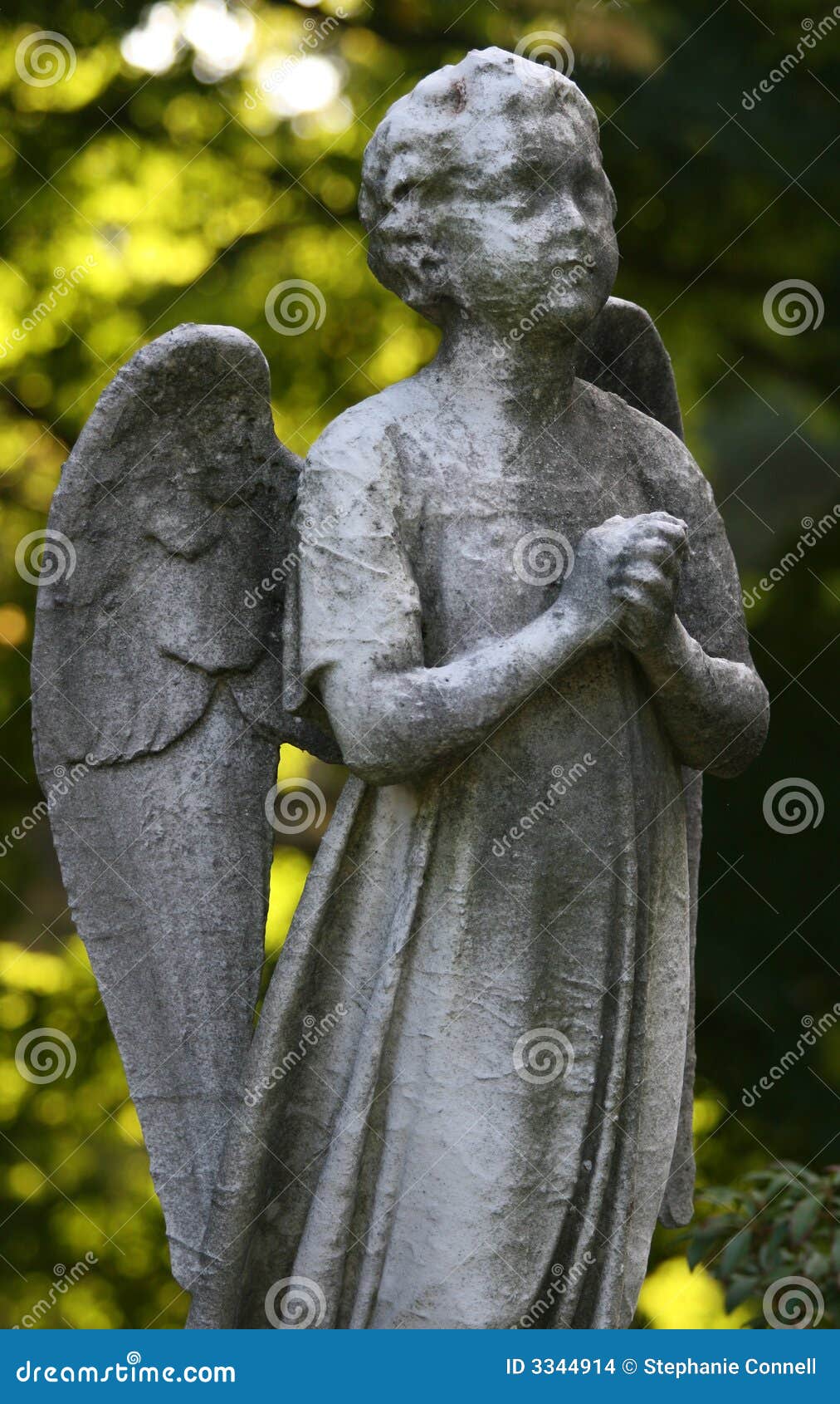 Stone Angel stock photo. Image of ornament, face, gravestone - 3344914