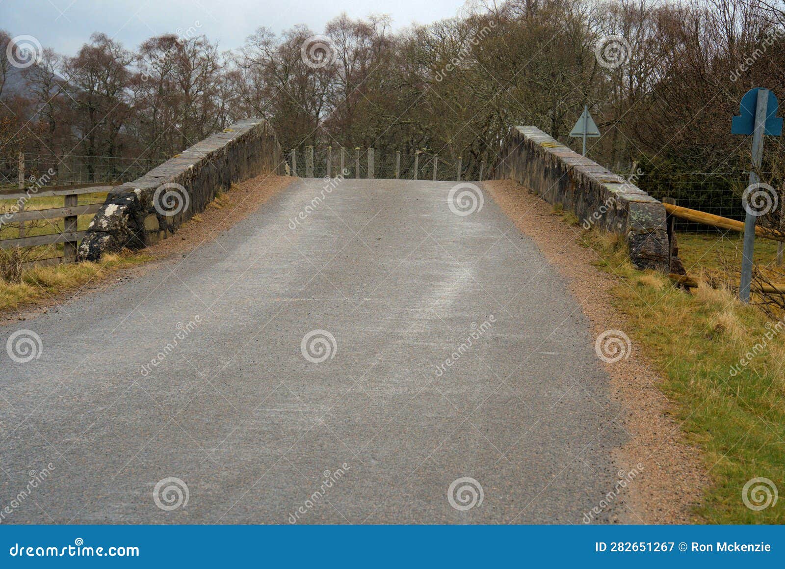 Stone Arch Bridge in Scotland Stock Image - Image of nature, road ...