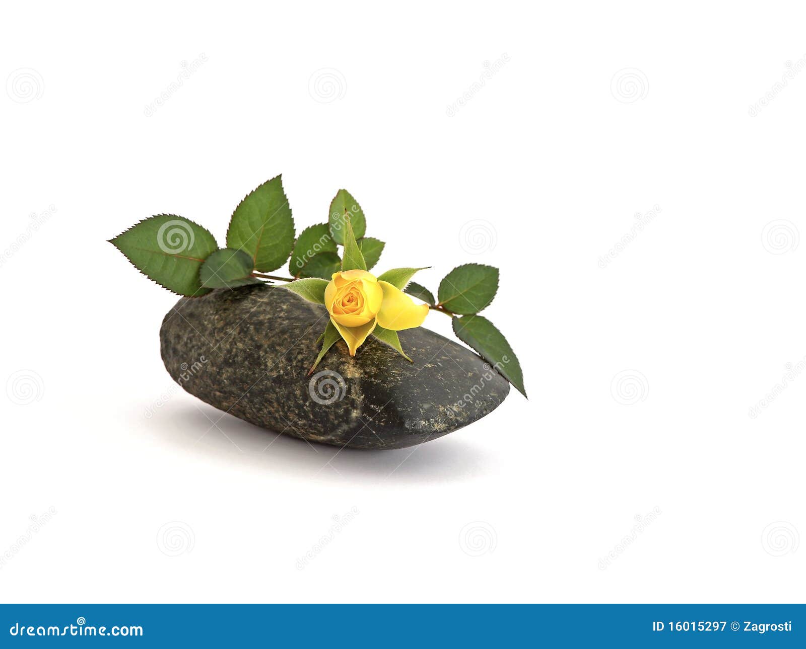 Stone-axe with rose stock image. Image of tool, fresh - 16015297