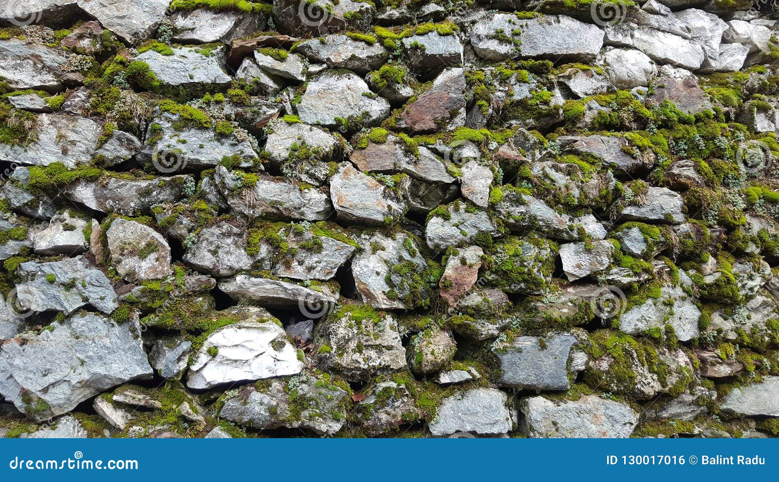Stone Background with Green Moss Stock Photo - Image of outdoor ...