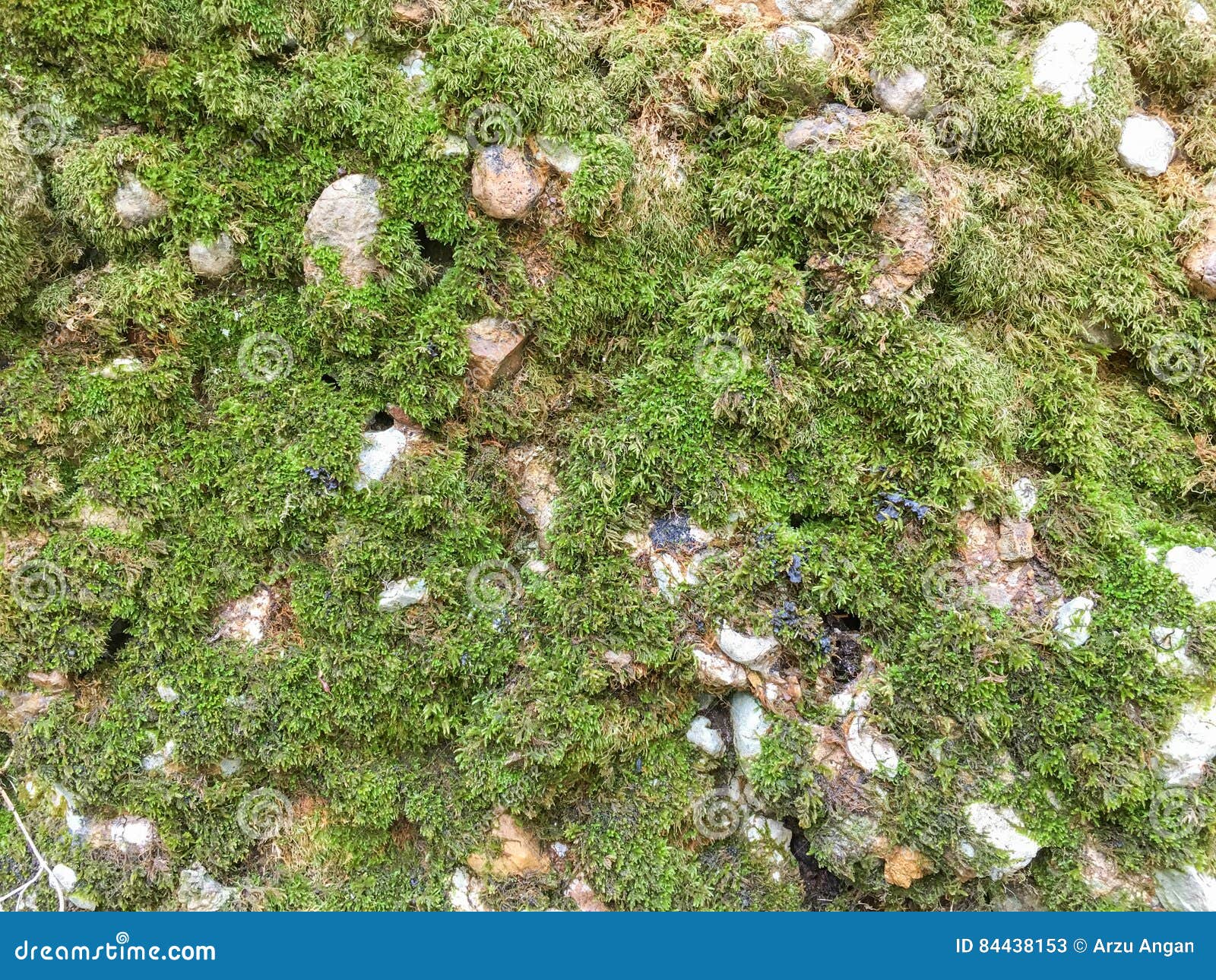 Stone background with moss stock image. Image of moss - 84438153