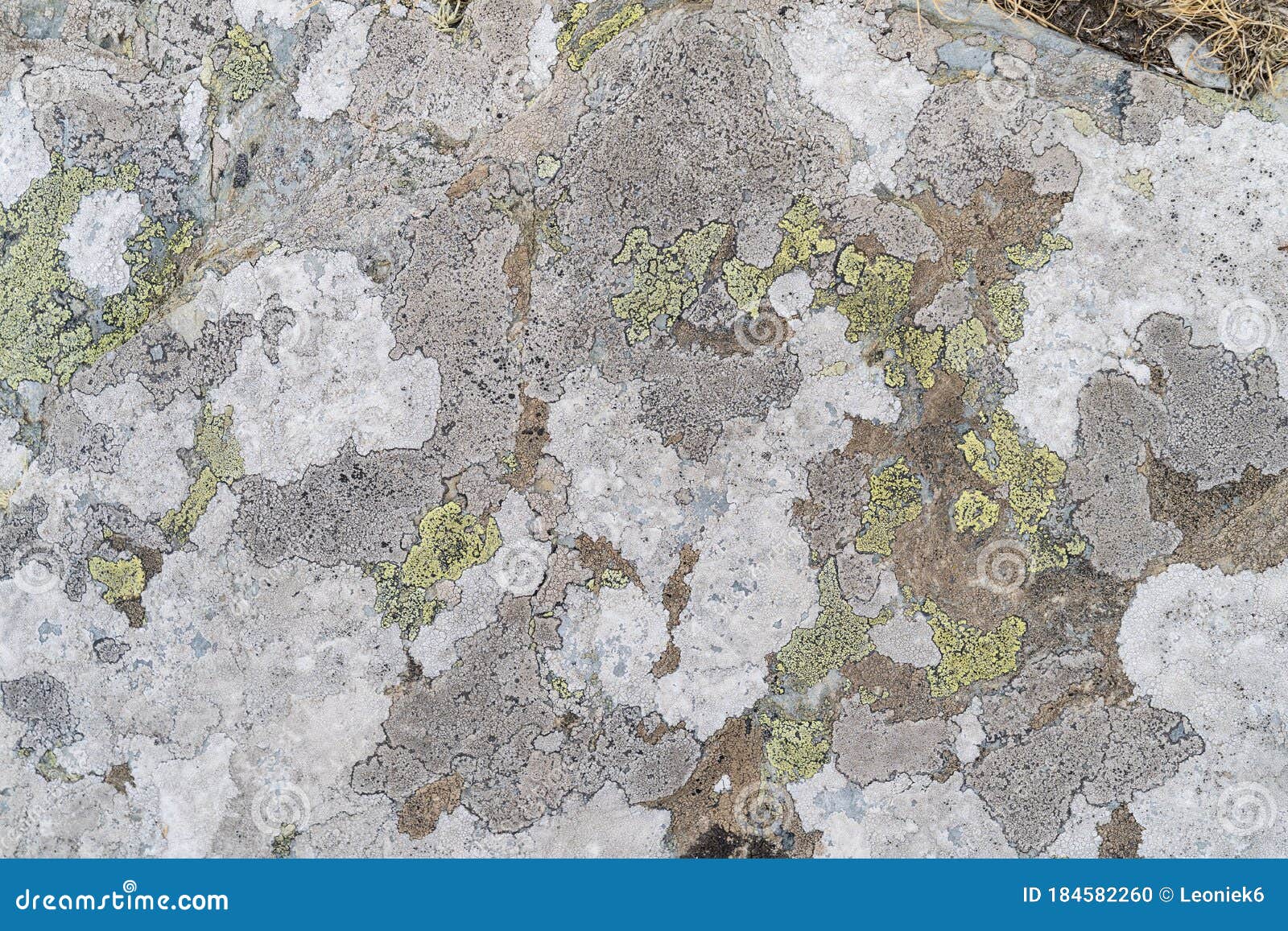 Stone Background with Textured Surface and Lichen Moss. Pattern Mineral ...