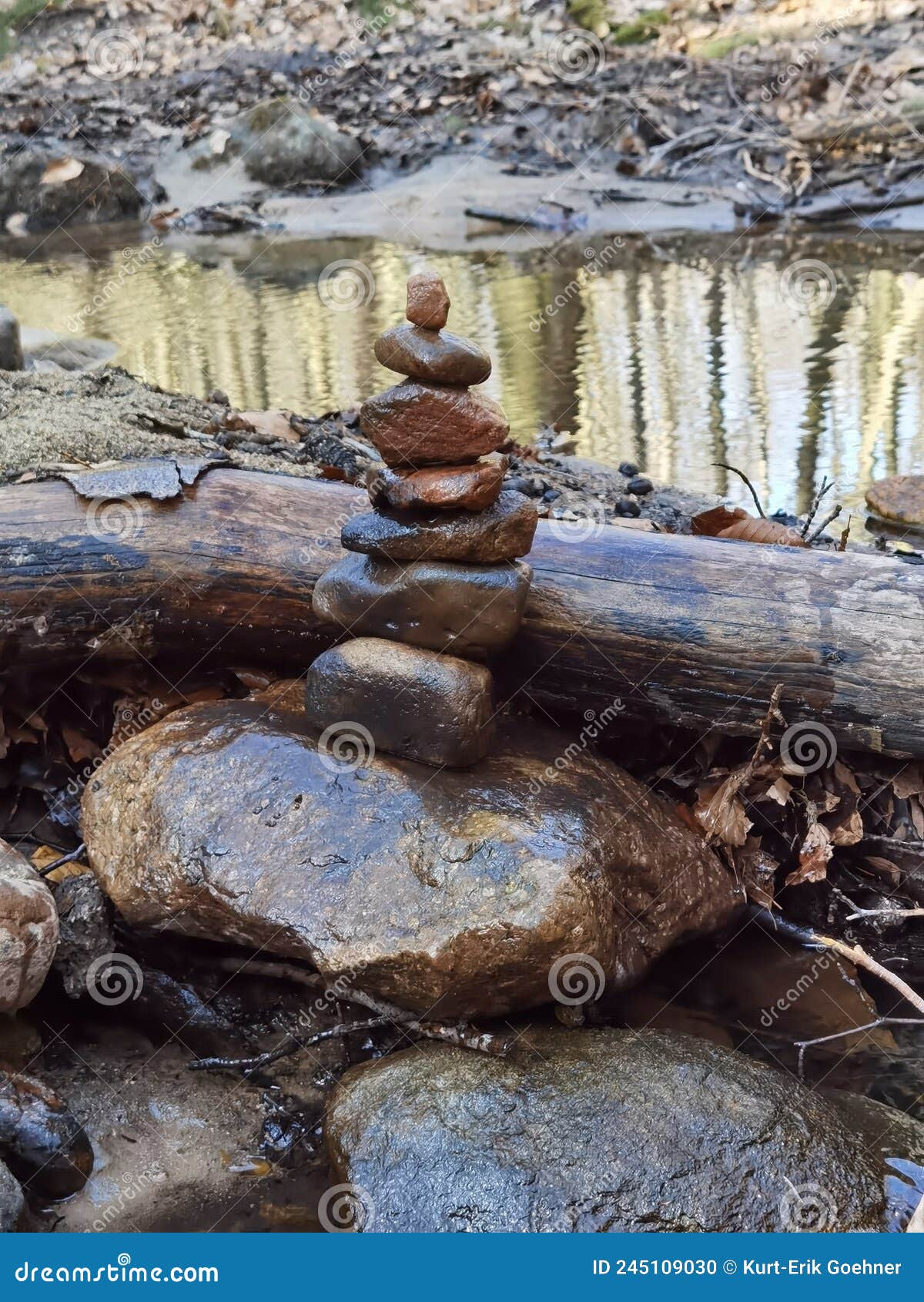 Stone Balance by the Stream in the Forest Stock Photo - Image of autumn ...